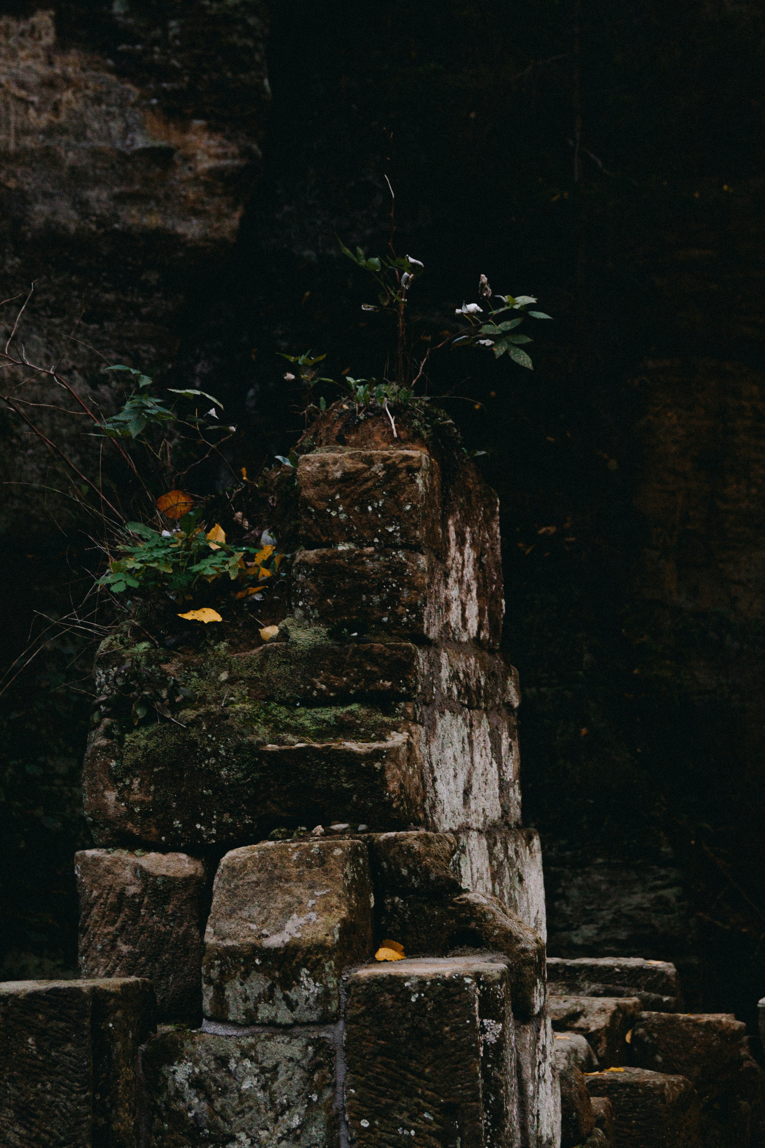 Moss-Wreathed Stone Pillar Emerges from Shadow in a Cavern