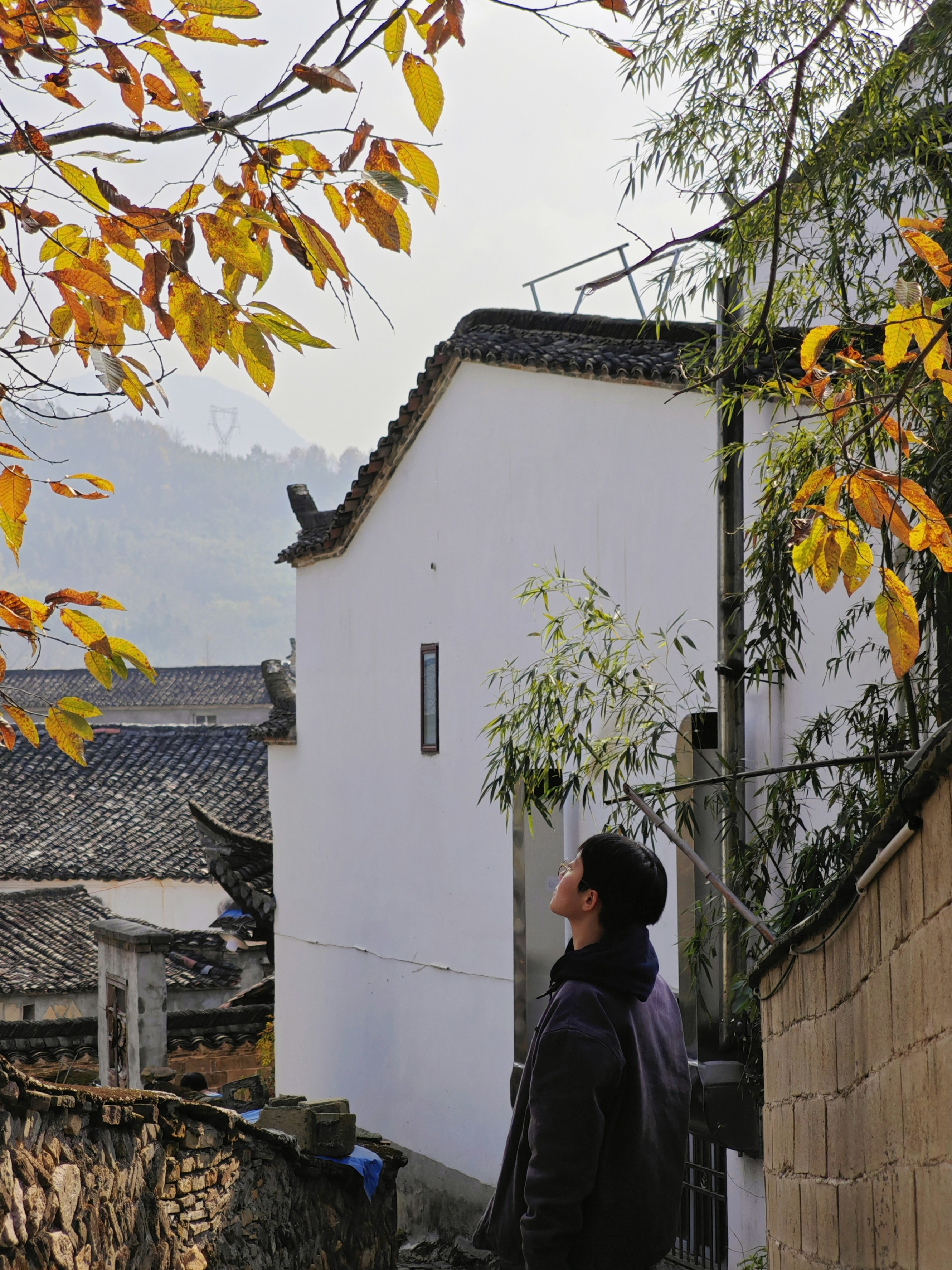 Autumn Gaze on a Quiet Lane