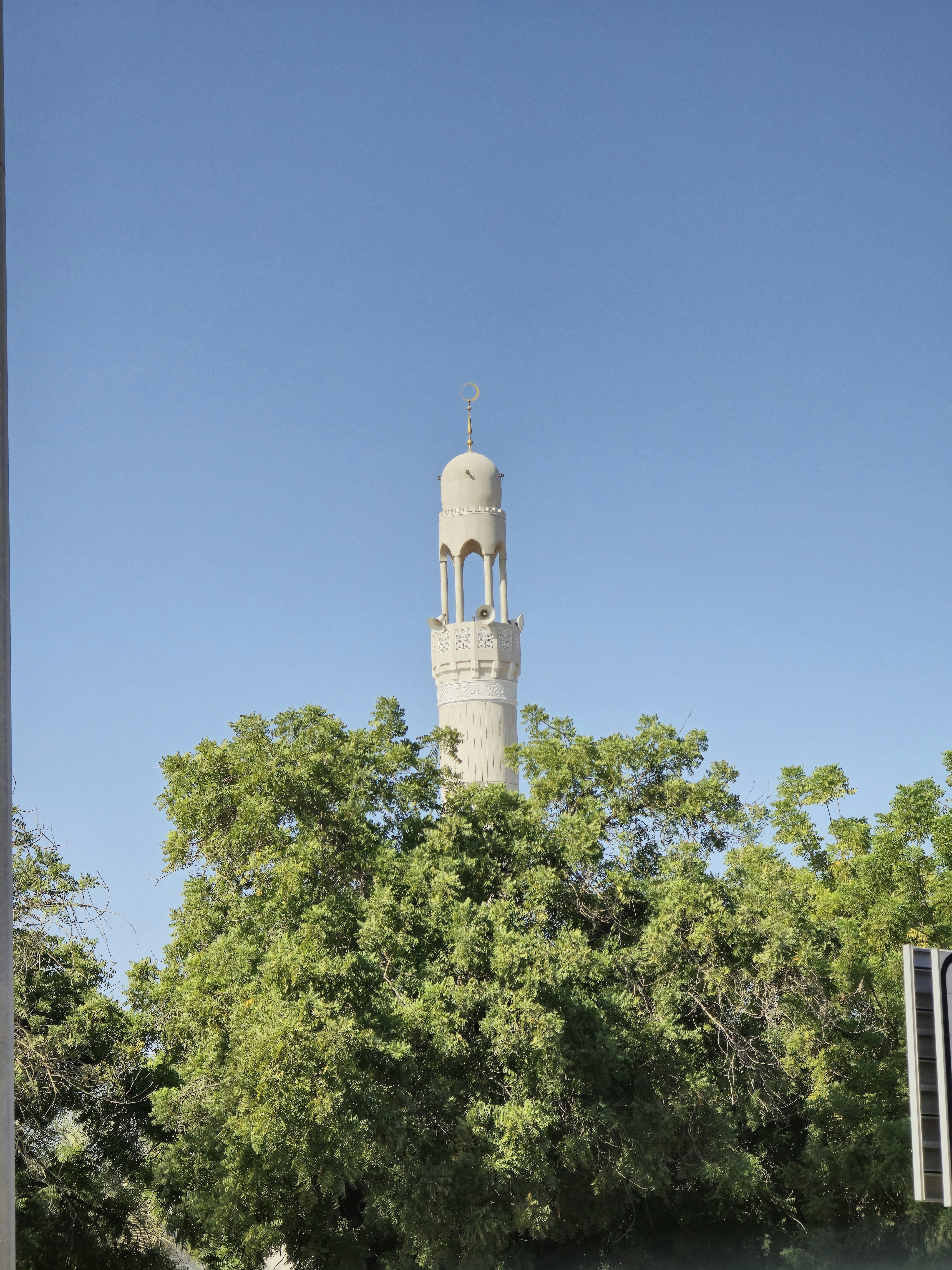 Ivory Minaret Rising Through the Green Canopy Under a Clear Sky
