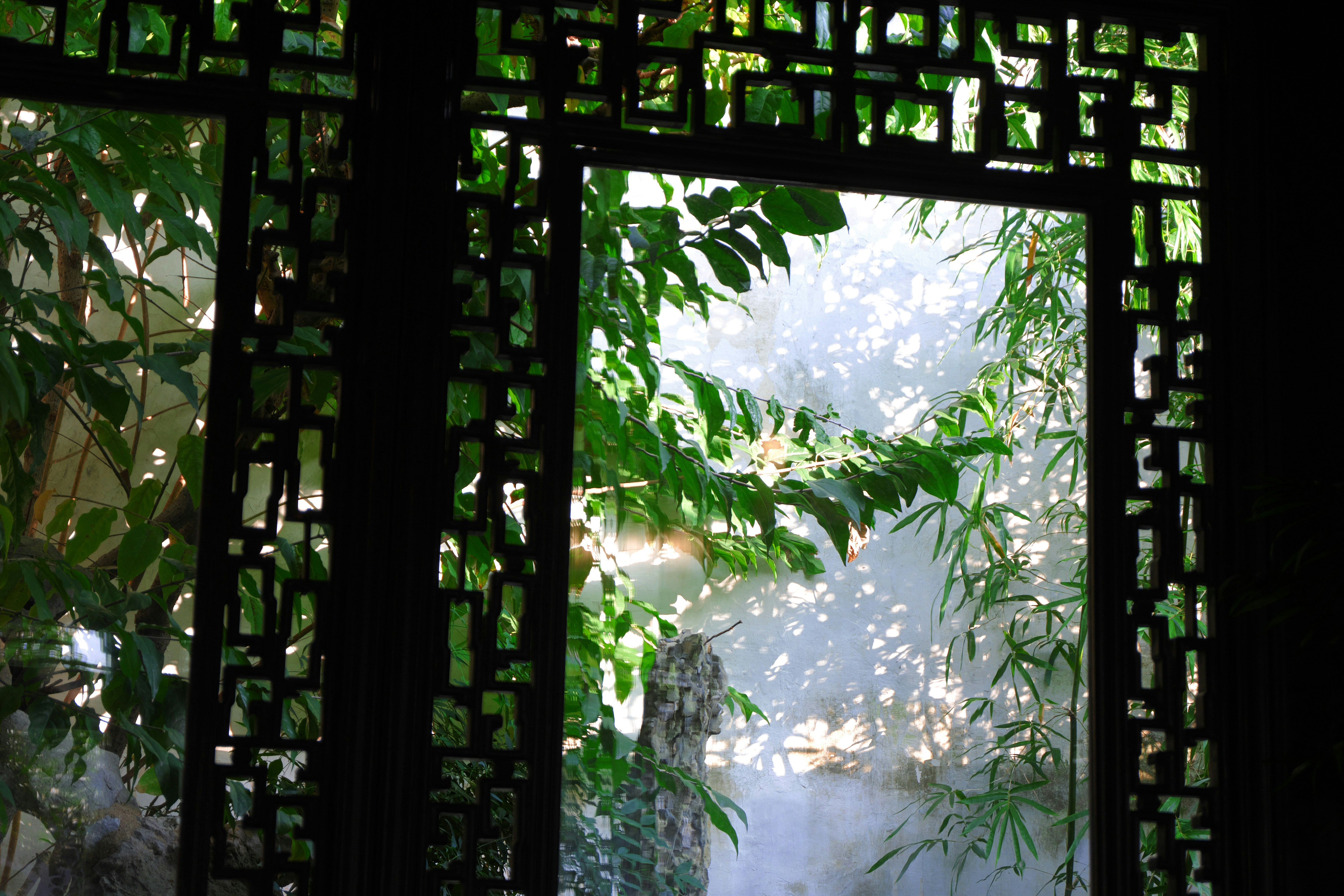 A view of a waterfall through a window photo – Free China Image on Unsplash
