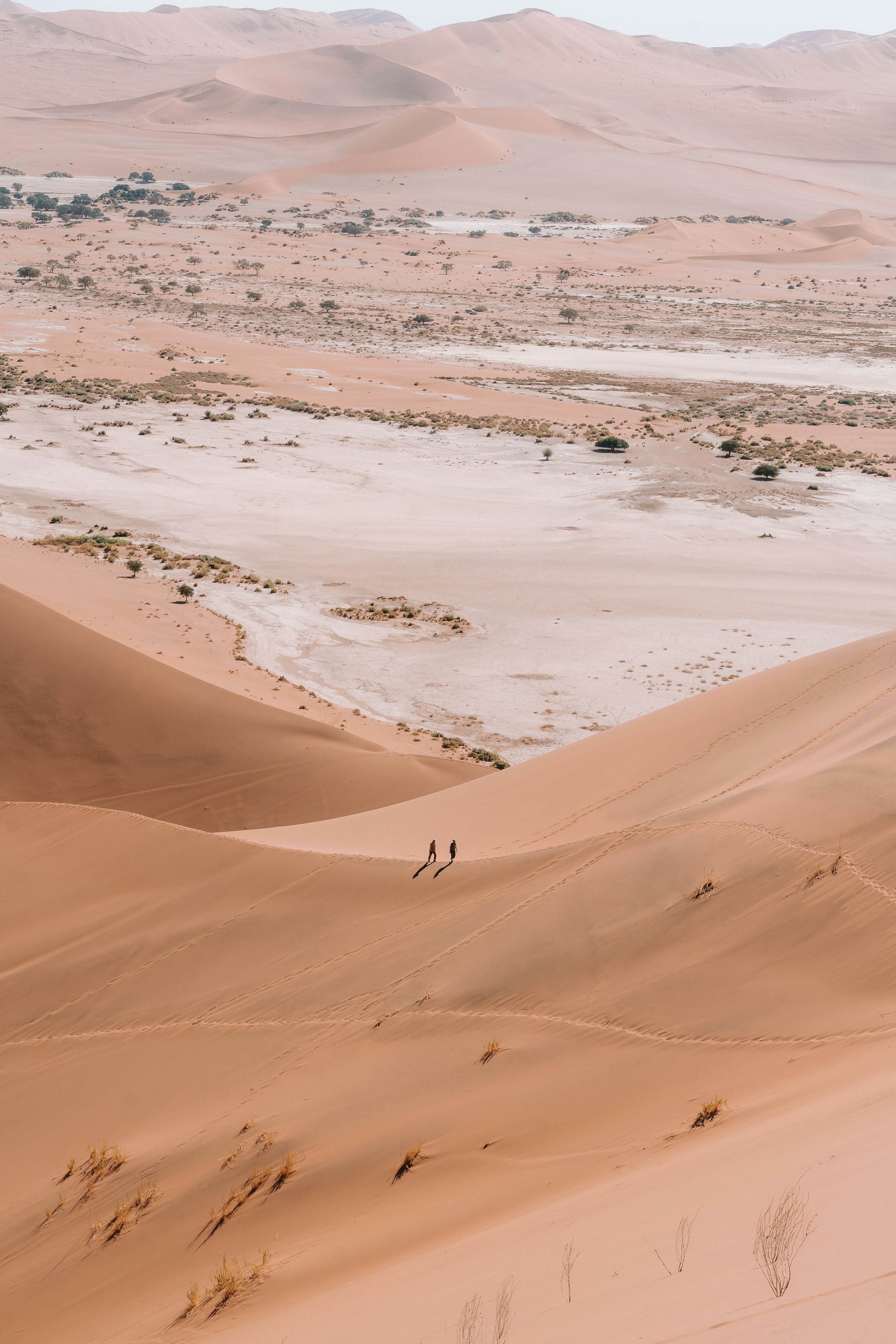 A group of people walking across a desert photo – Free Sand Image on ...