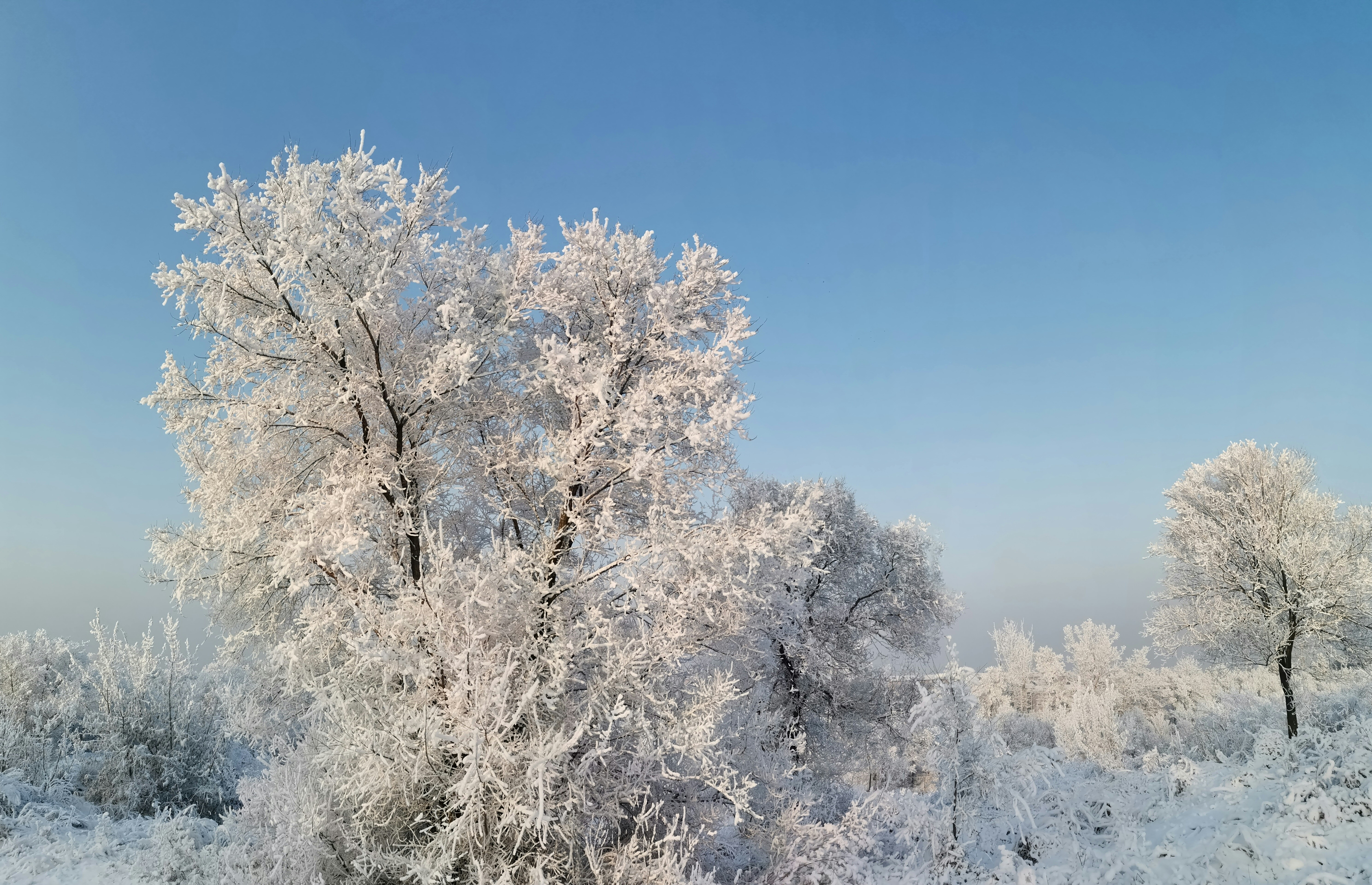 Photo by Viktor Ozolin with Huawei Nova 5T