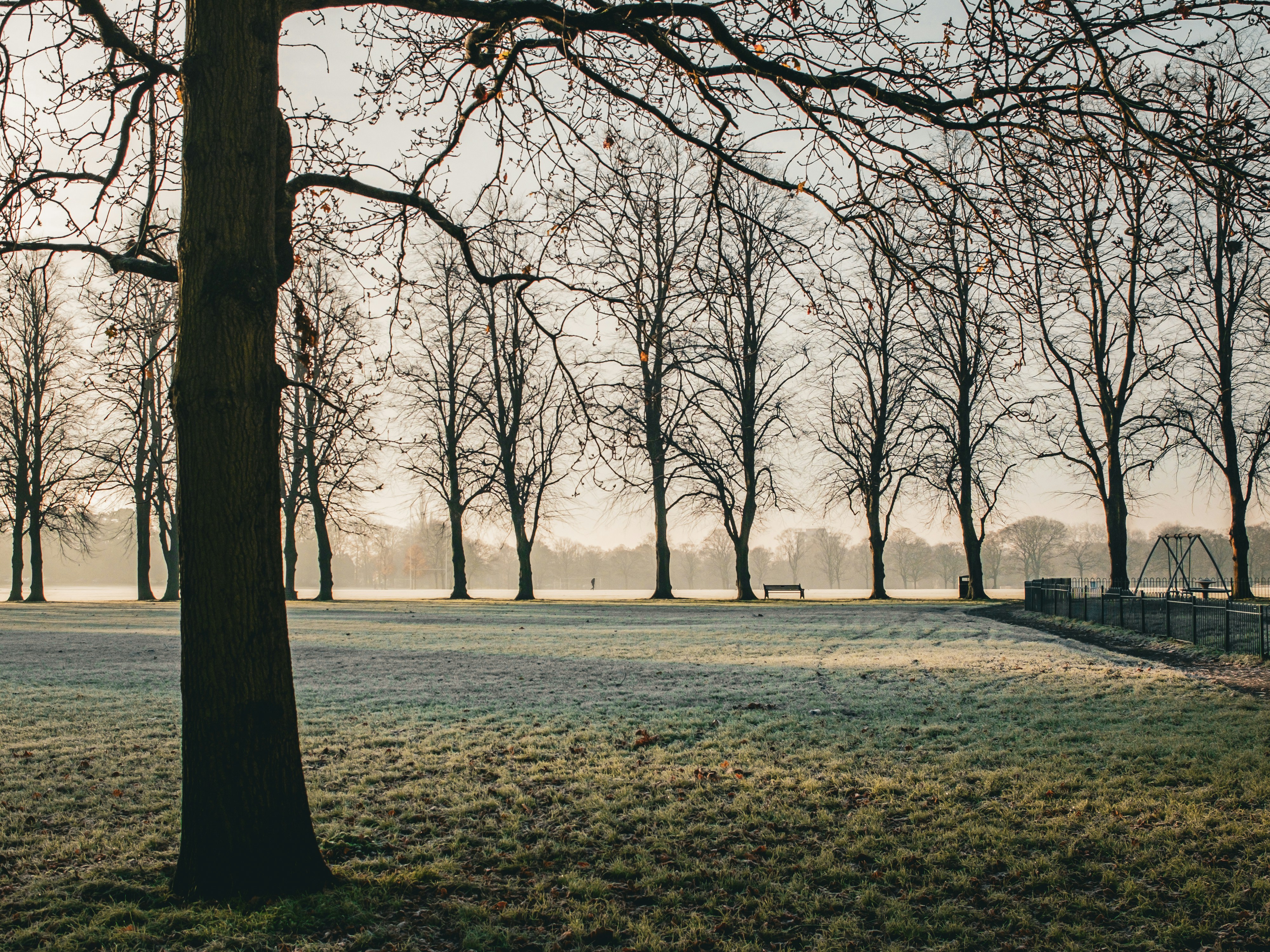 A park filled with lots of trees and grass photo – Free Tree Image on ...