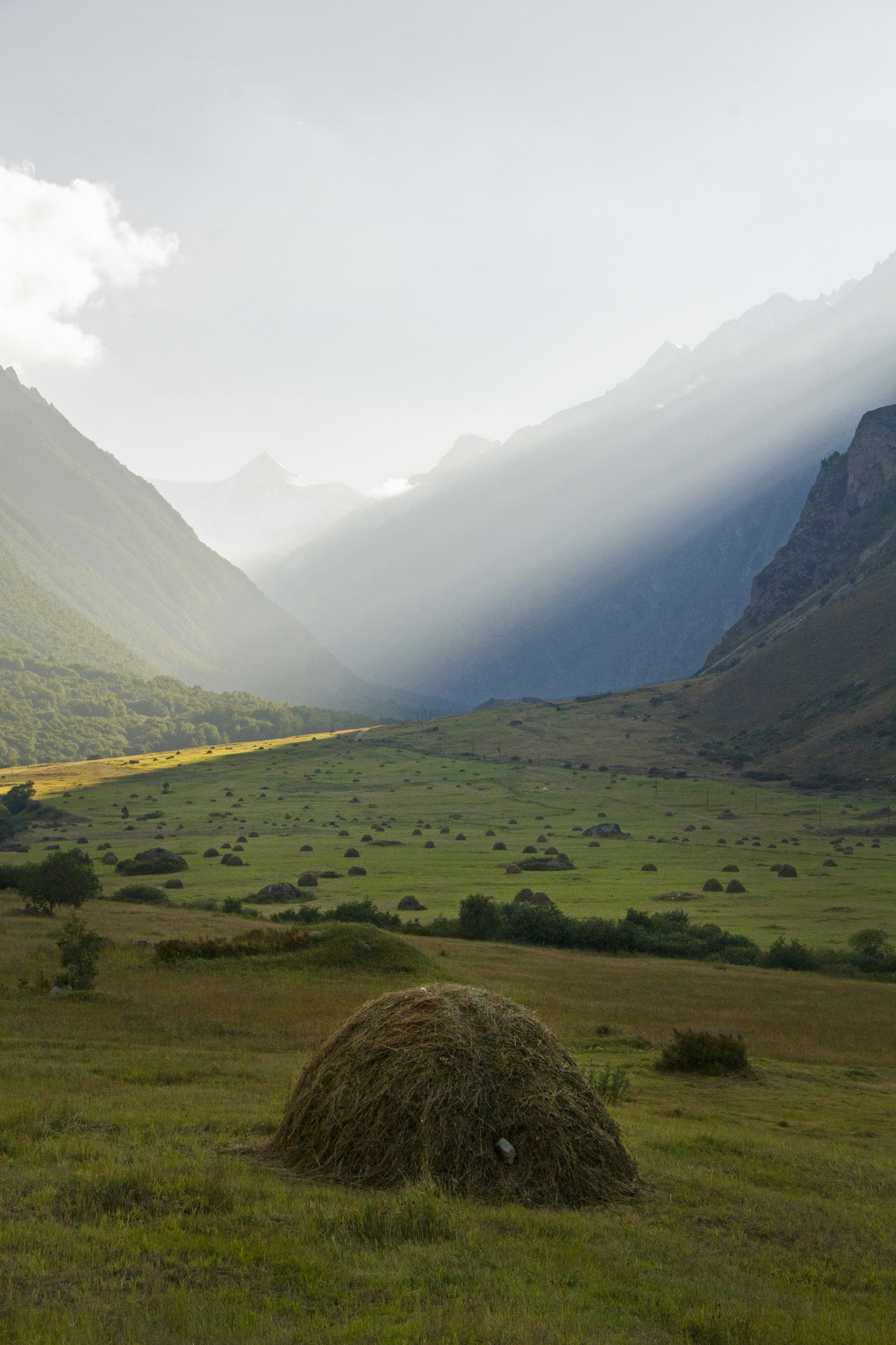 A large hay bail in a field with mountains in the background photo ...