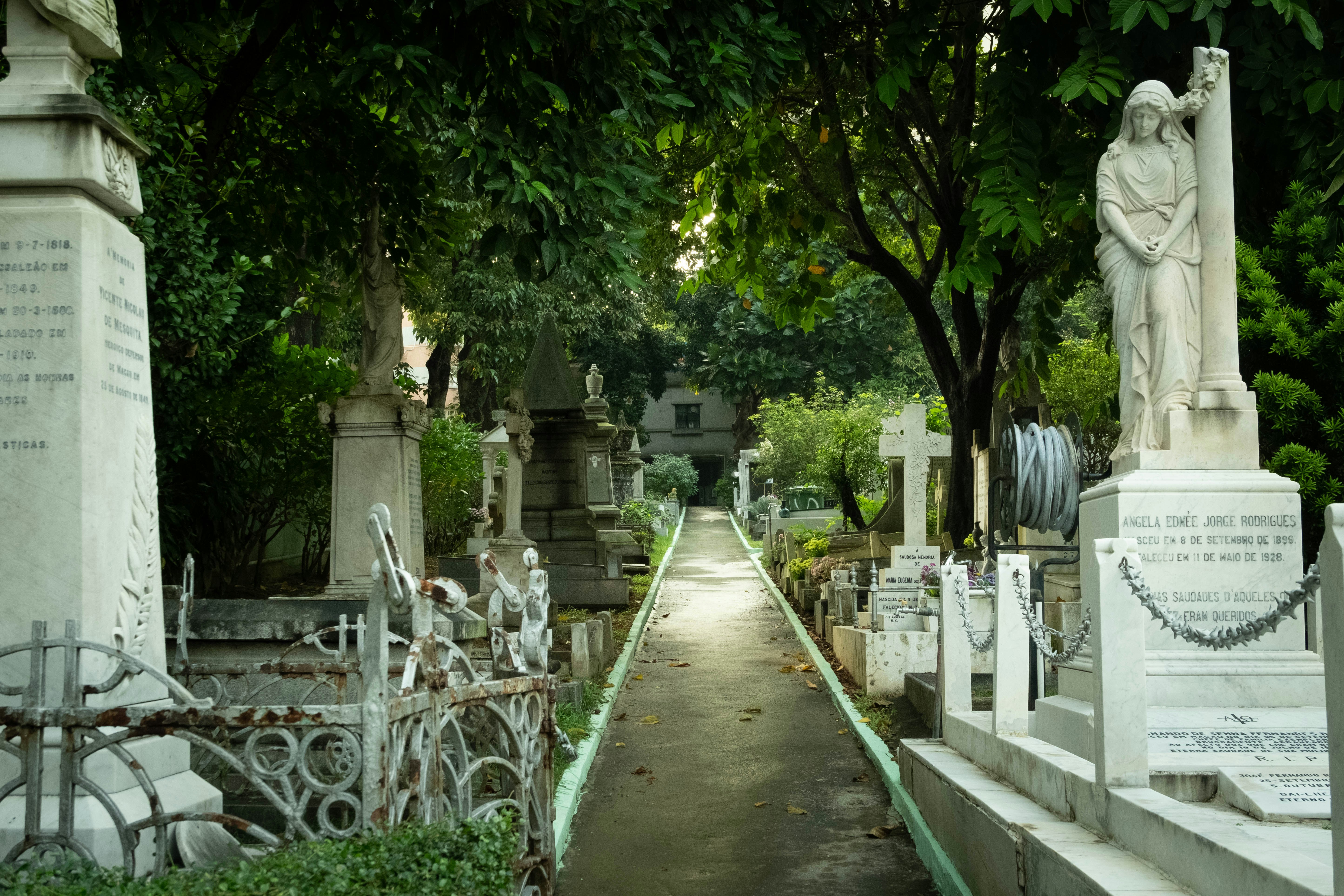 A tranquil cemetery pathway lined with ornate tombstones and lush greenery, inviting reflection and remembrance.