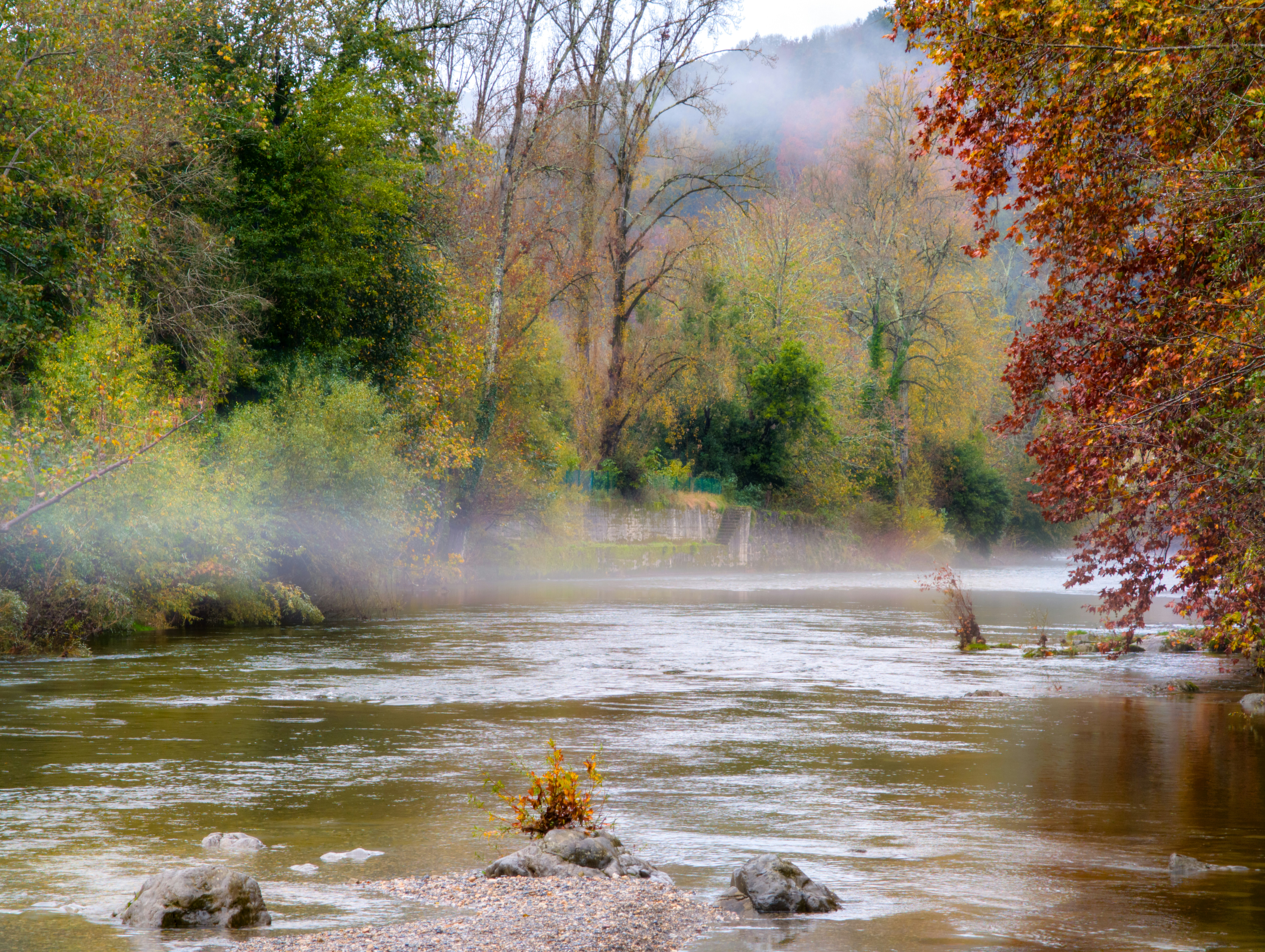 A river in the middle of a wooded area photo – Free Río sella Image on ...