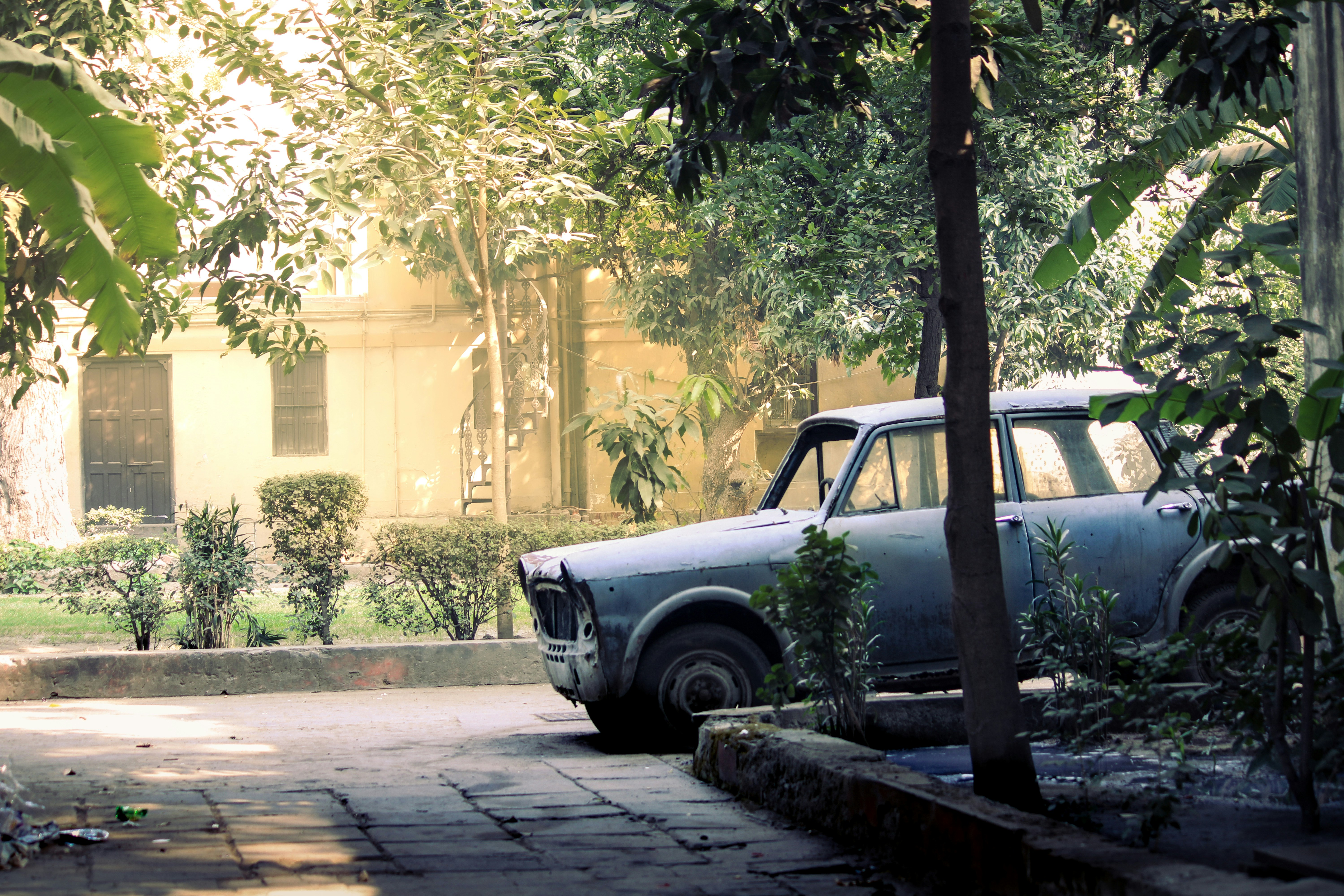 Vintage car parked under lush trees beside an old building.