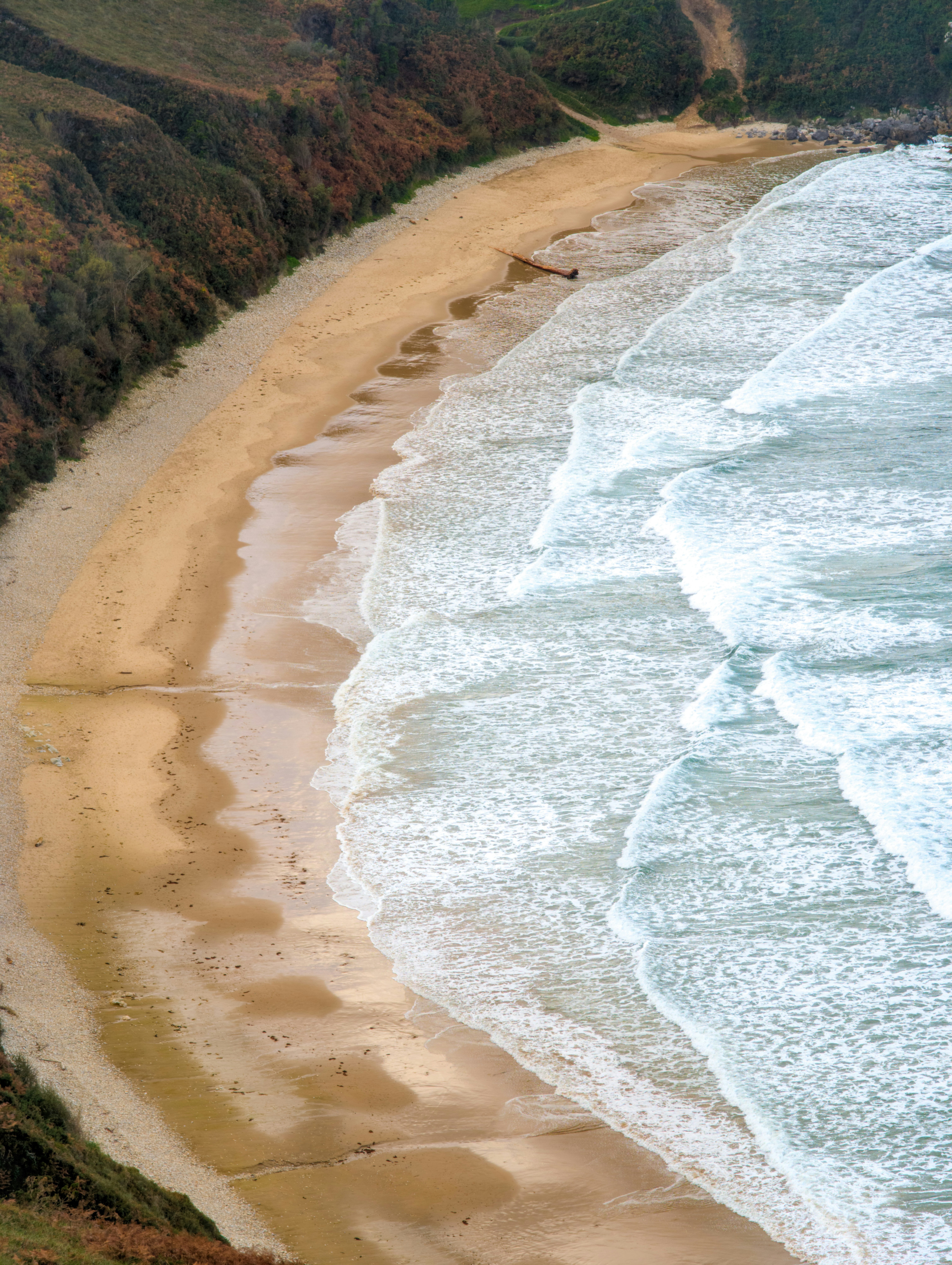 Driftwood on the Edge: Waves Carving a Quiet Cliffside Shore