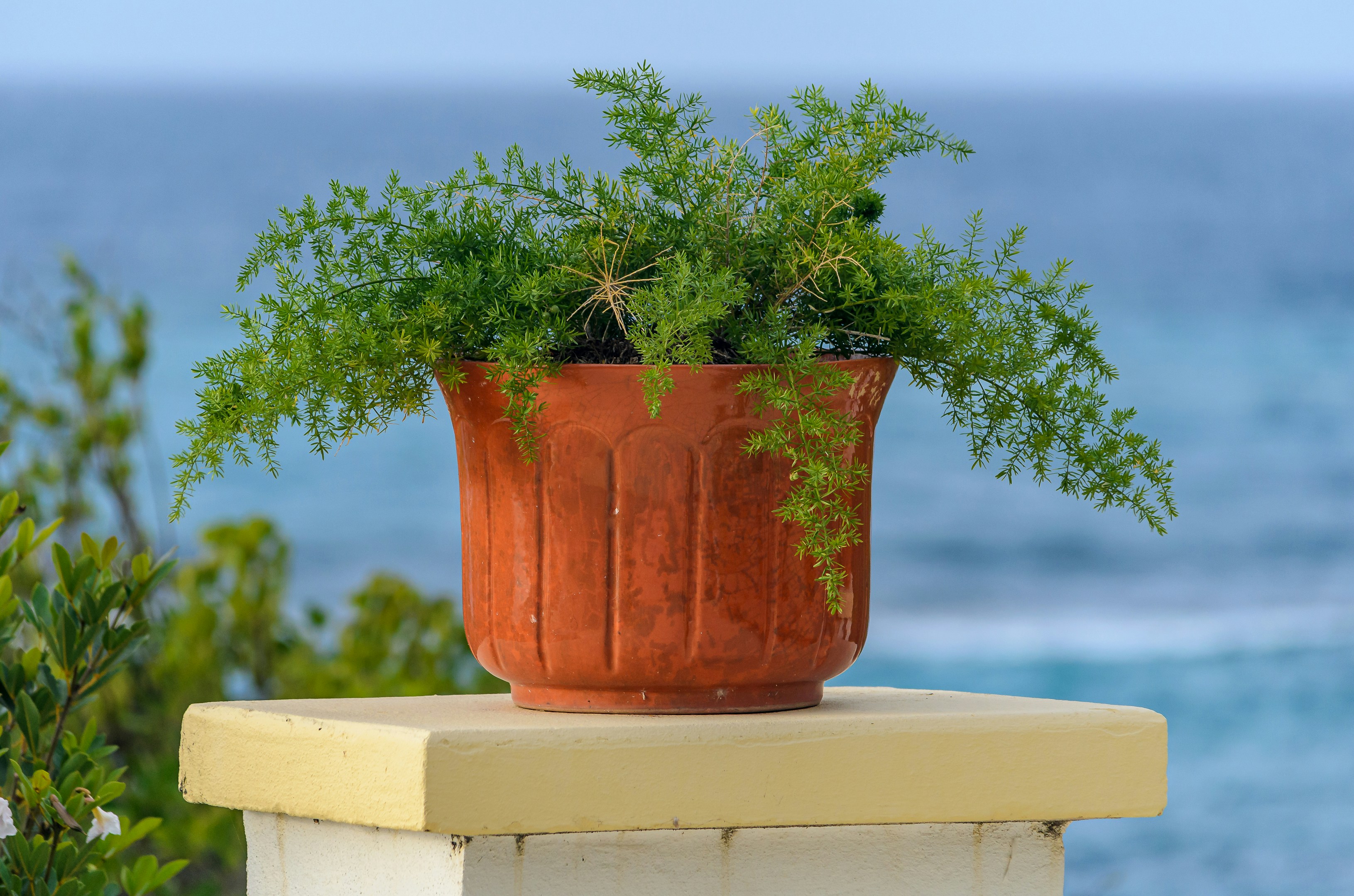 Photo by Steve Adams with Nikon D5100