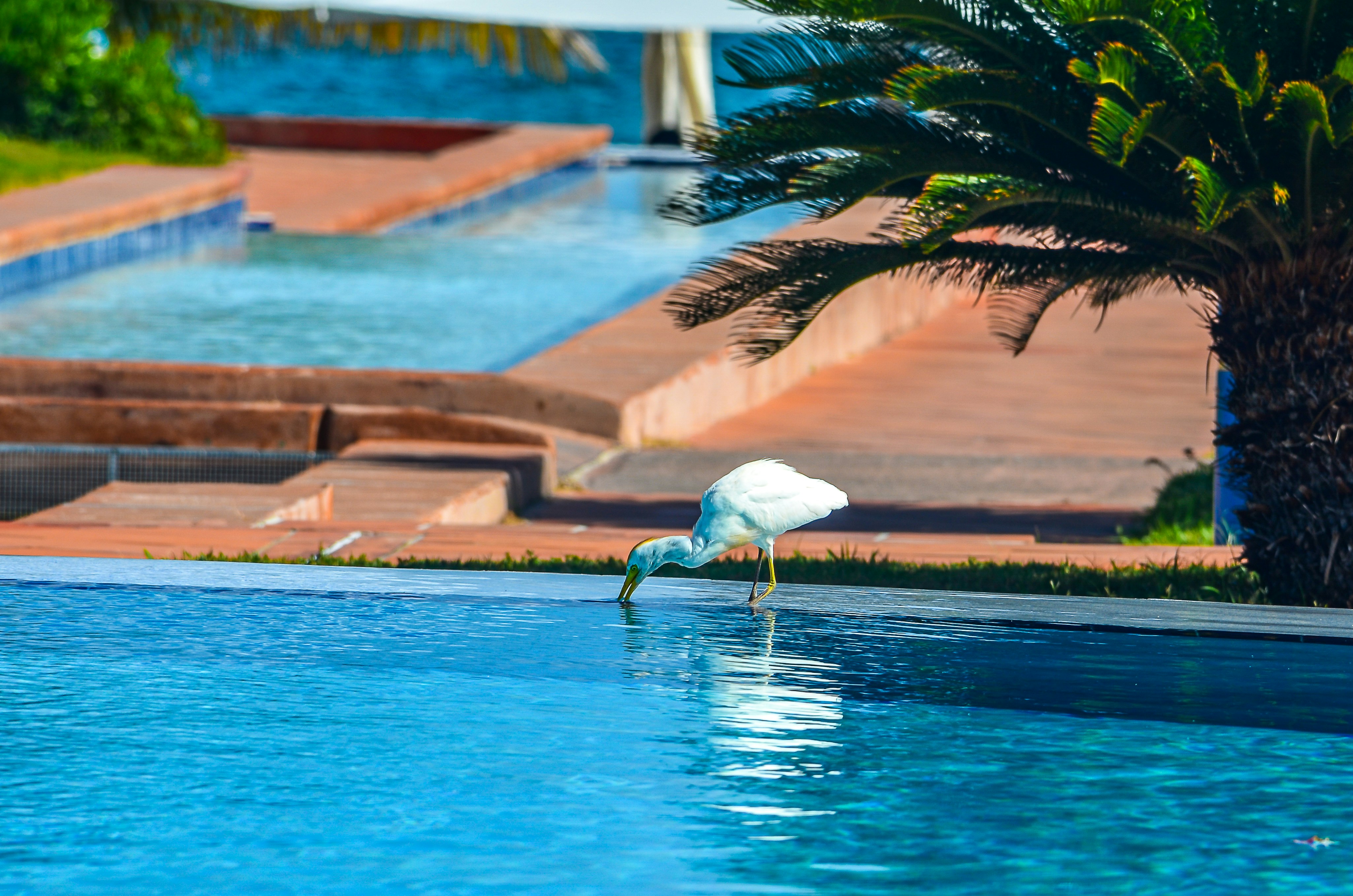 Photo by Steve Adams with Nikon D5100