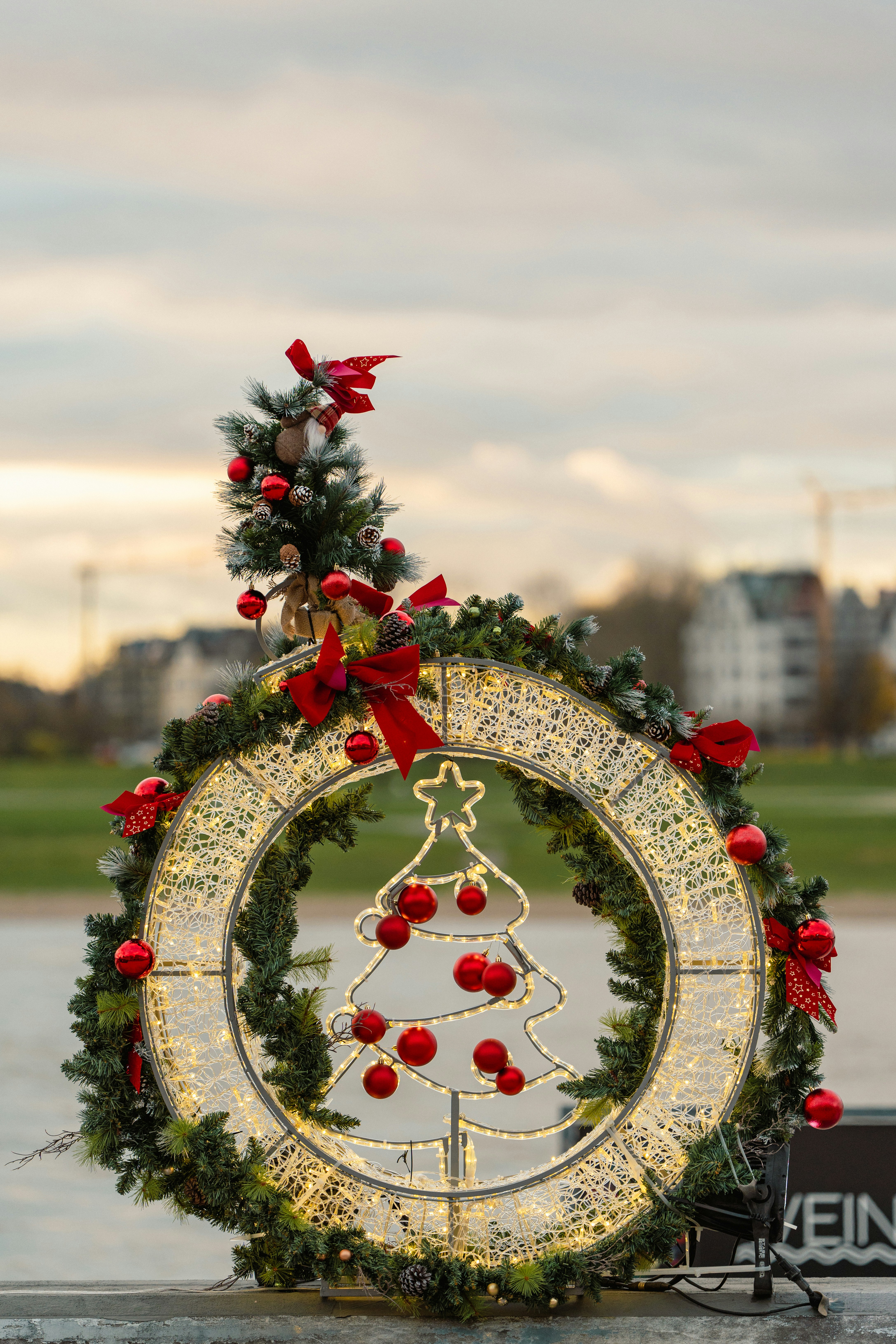 Golden Halo of Christmas Lights Framing a Tree Silhouette