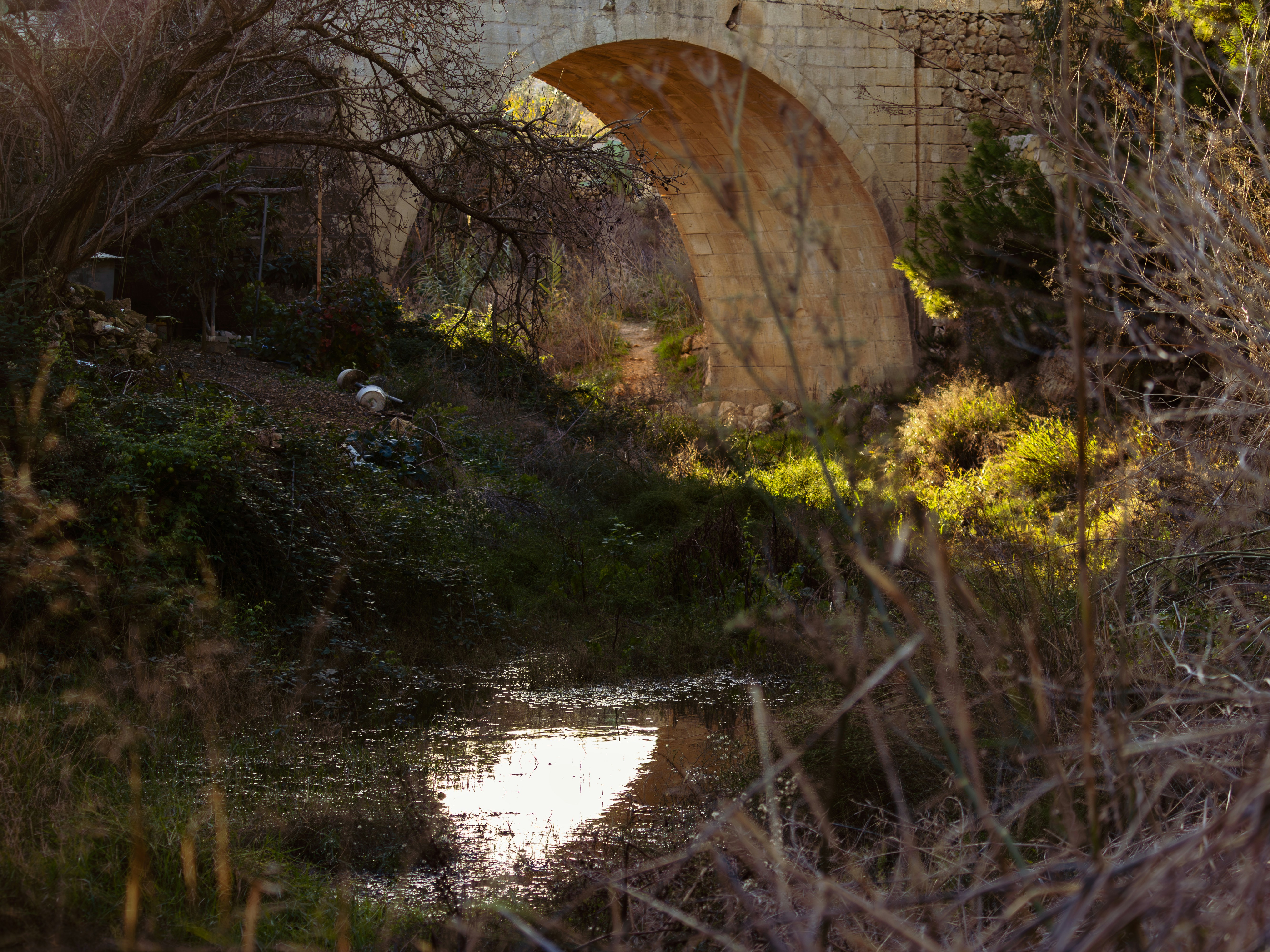Timeless Arch Over Rustling Stream