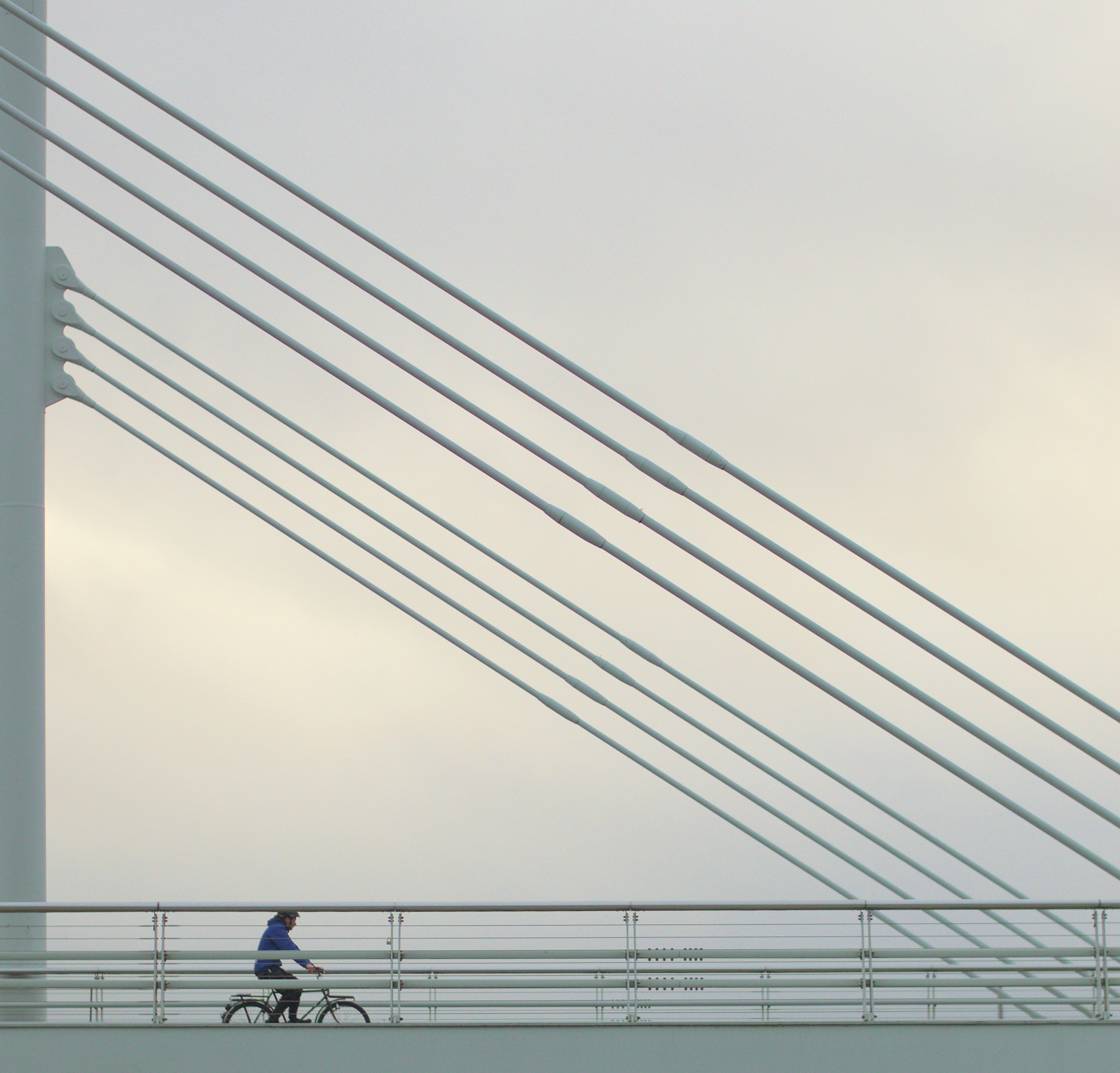 Rider on a Quiet Bridge: Diagonal Cables Framing a Moment
