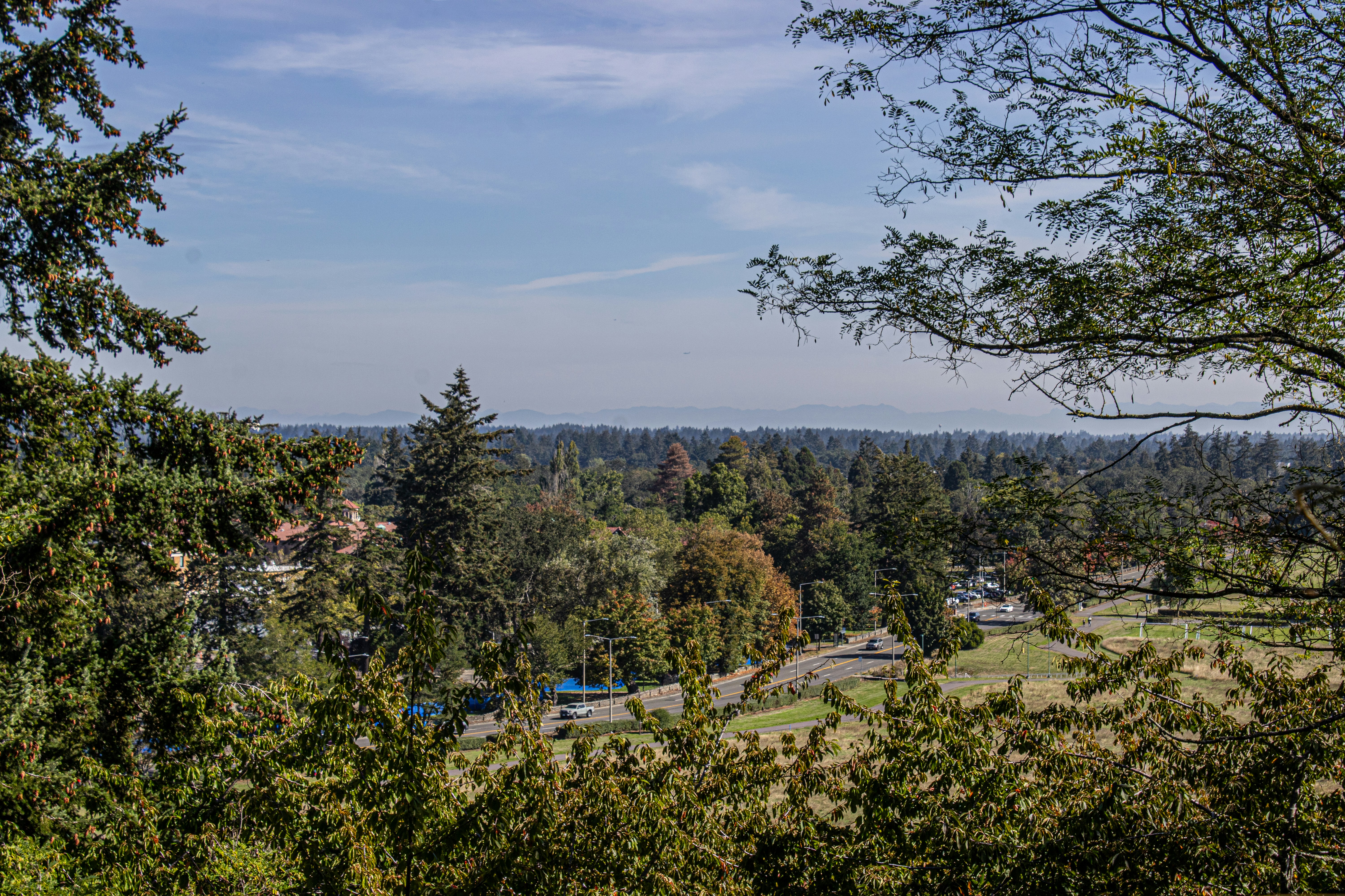 A view of a city from a hill photo – Free Fort steilacoom park Image on ...