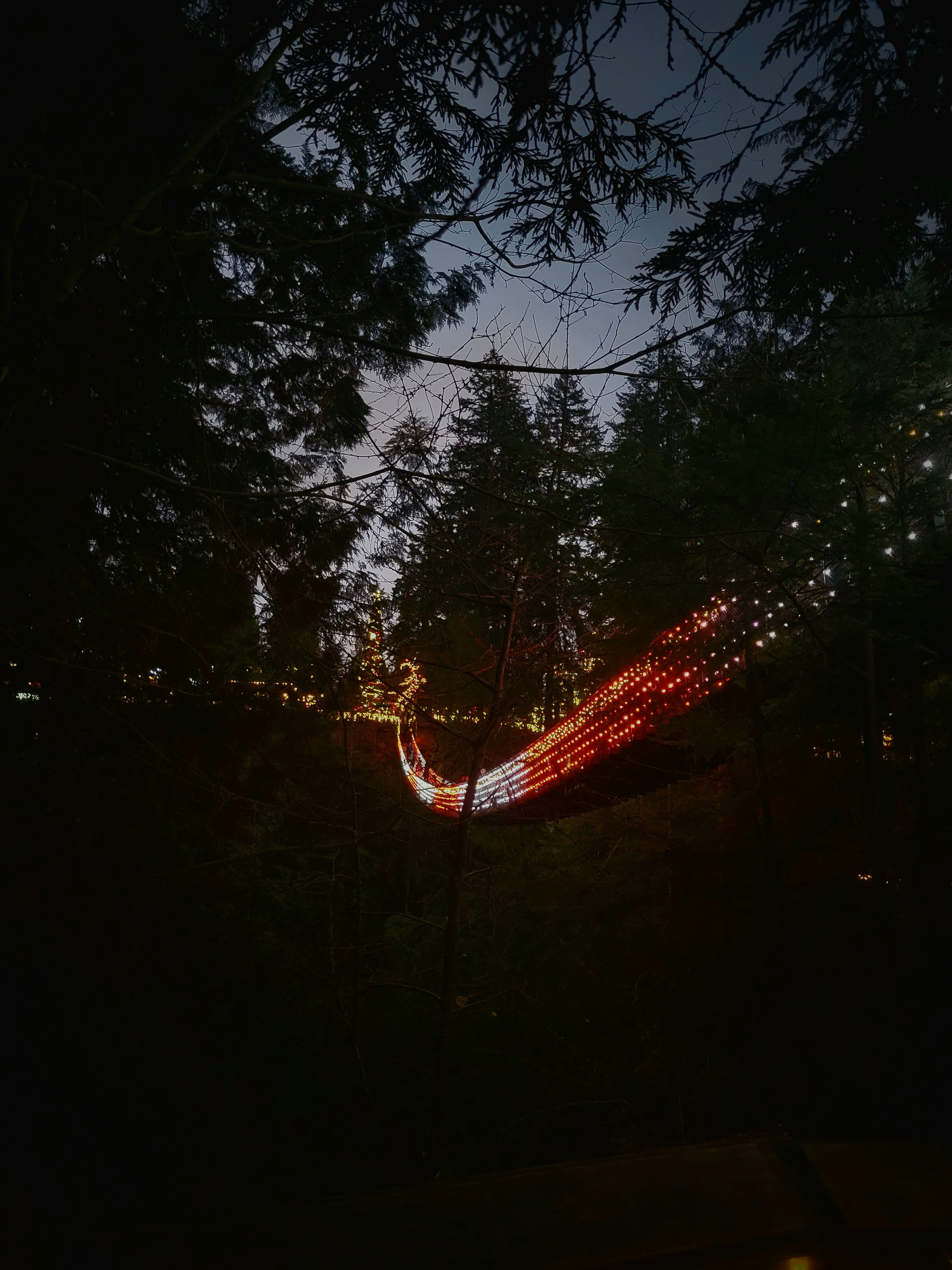 Red-Hued Hammock Glimmer Under Forest Fairy Lights