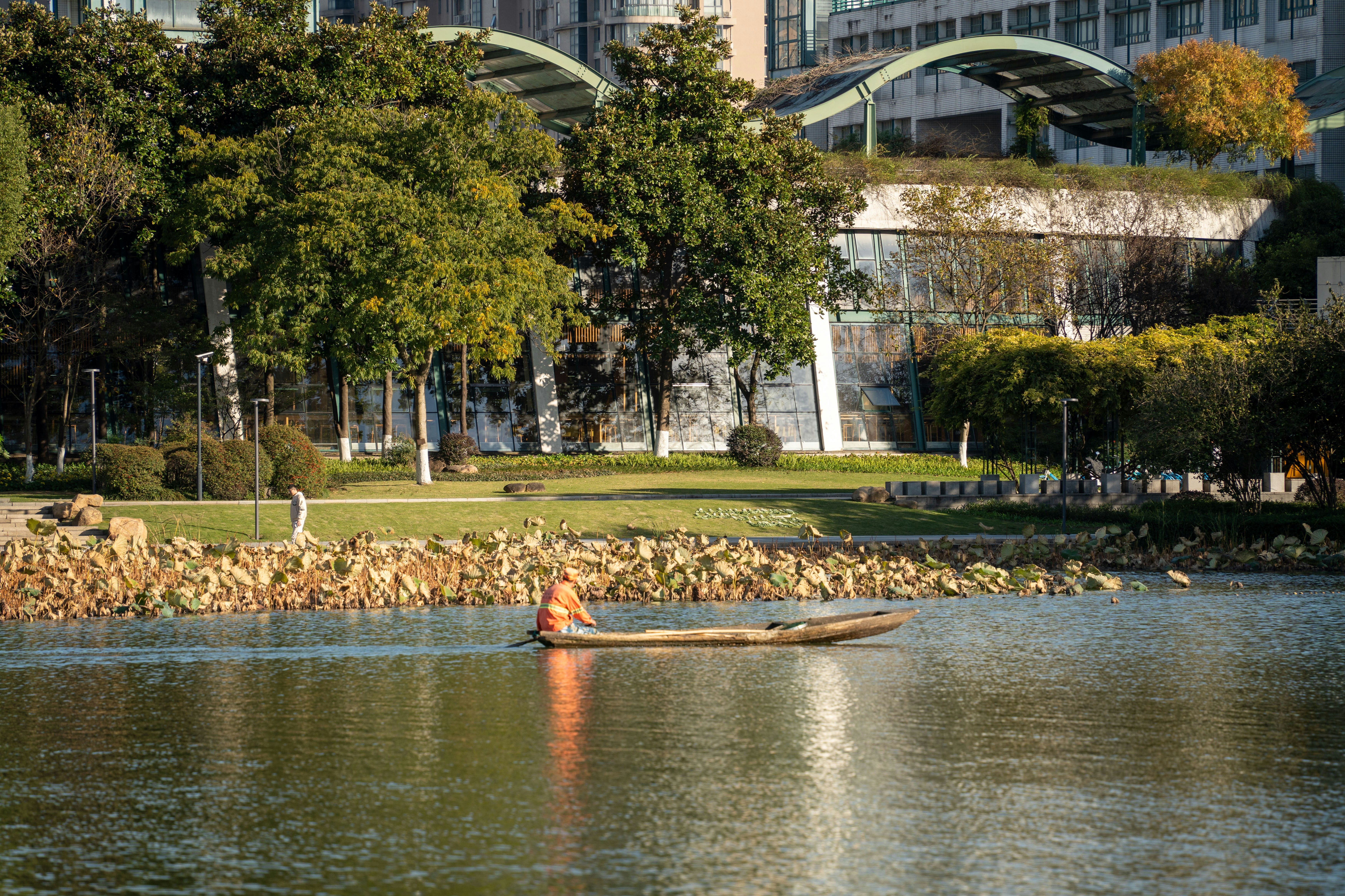 A Solitary Rower on a Glassy Riverside, Framed by Park Trees and a Cityscape