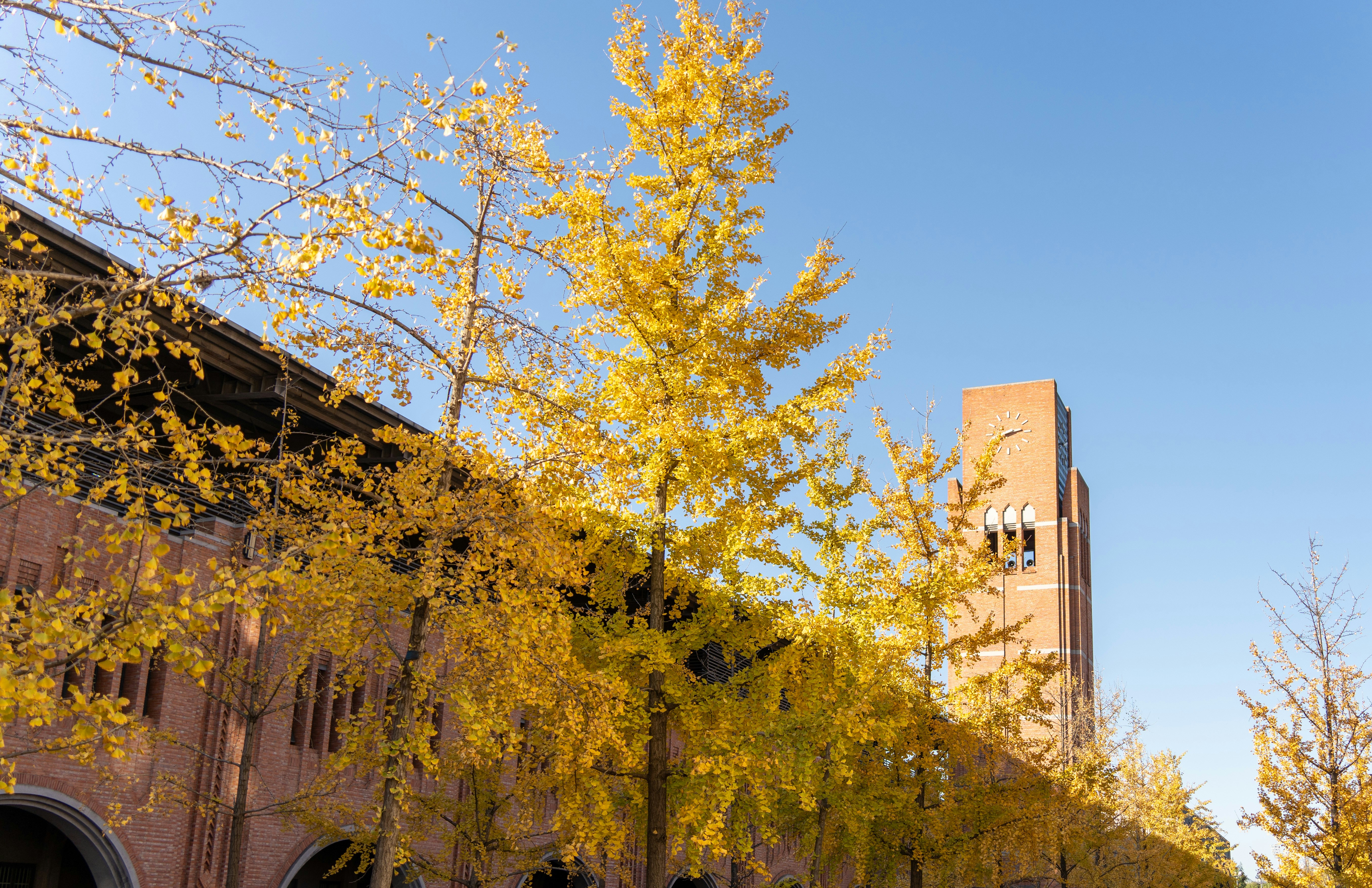 A tall building with a clock tower in the background photo – Free City ...