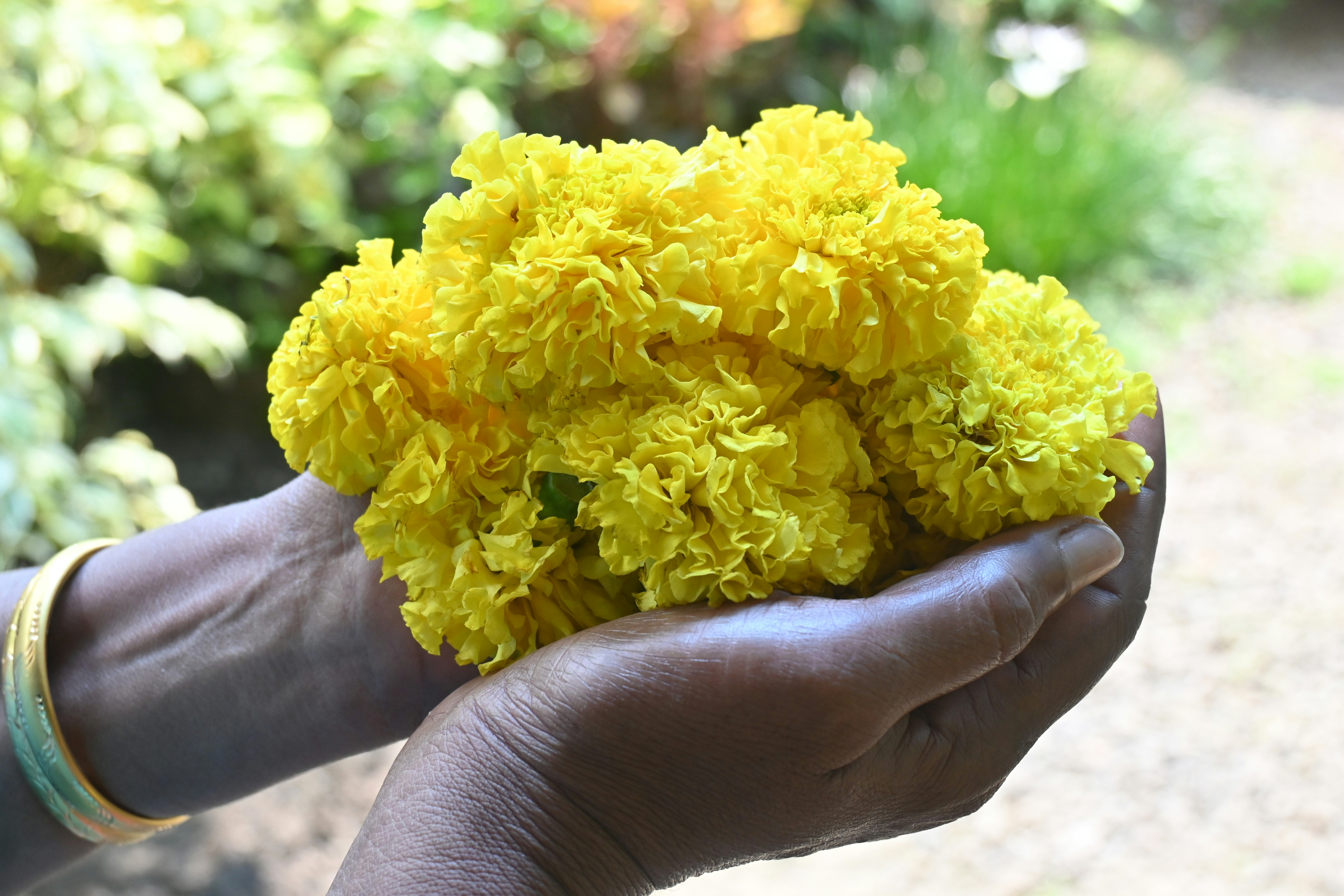 Photo by NEVIN K S with Nikon Z30