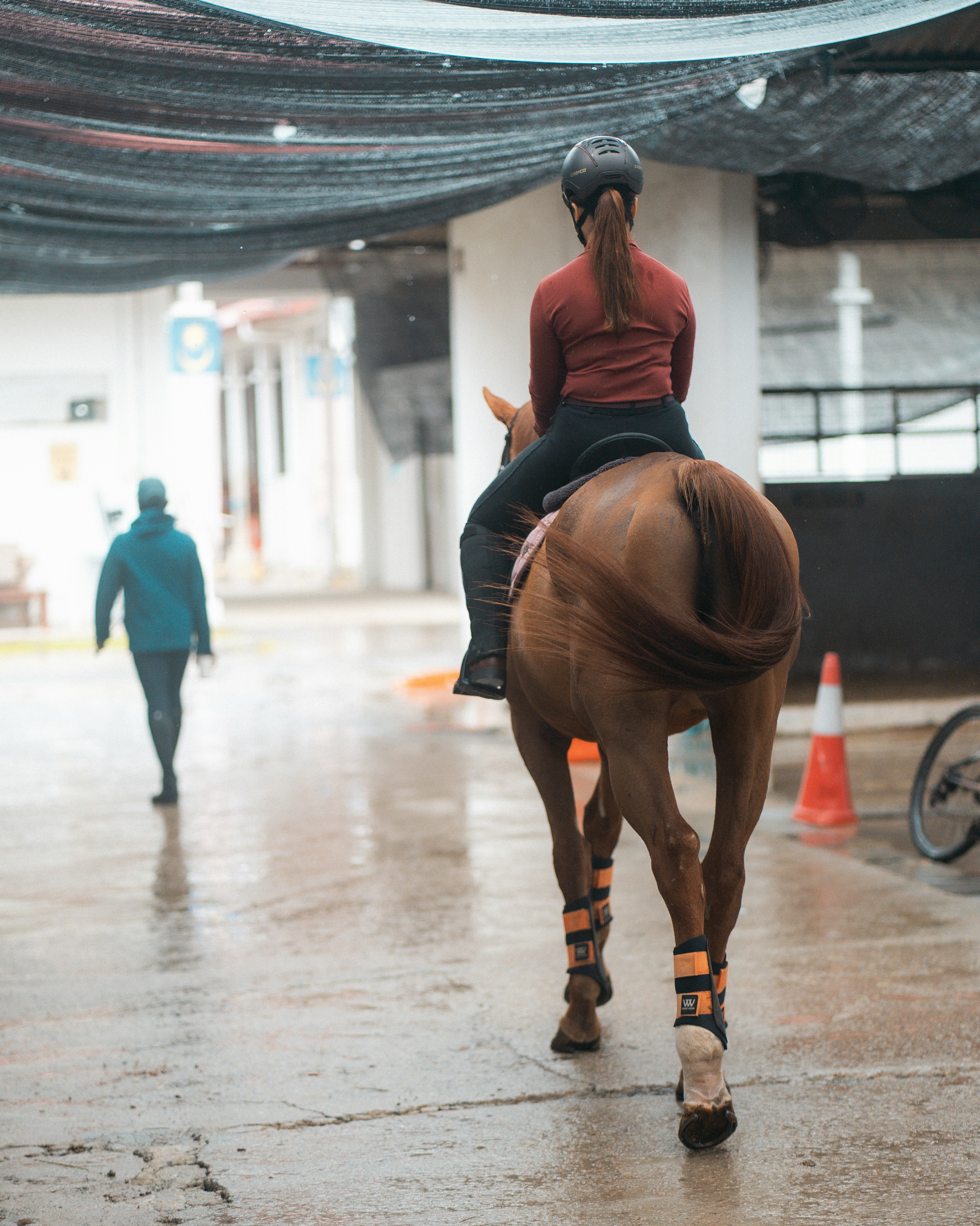 A Journey Through the Stable