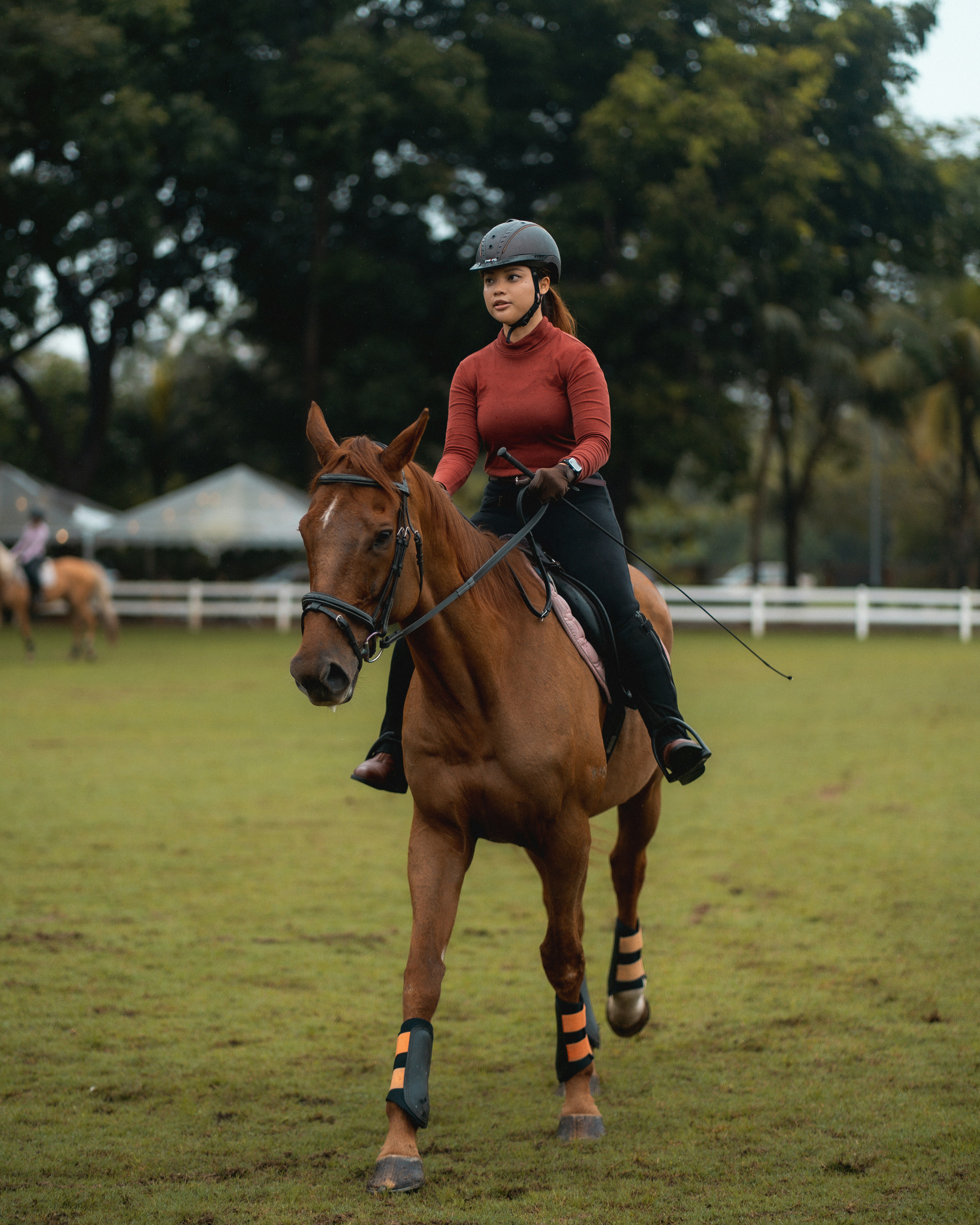 Rider in Red: Focused on the Gallop