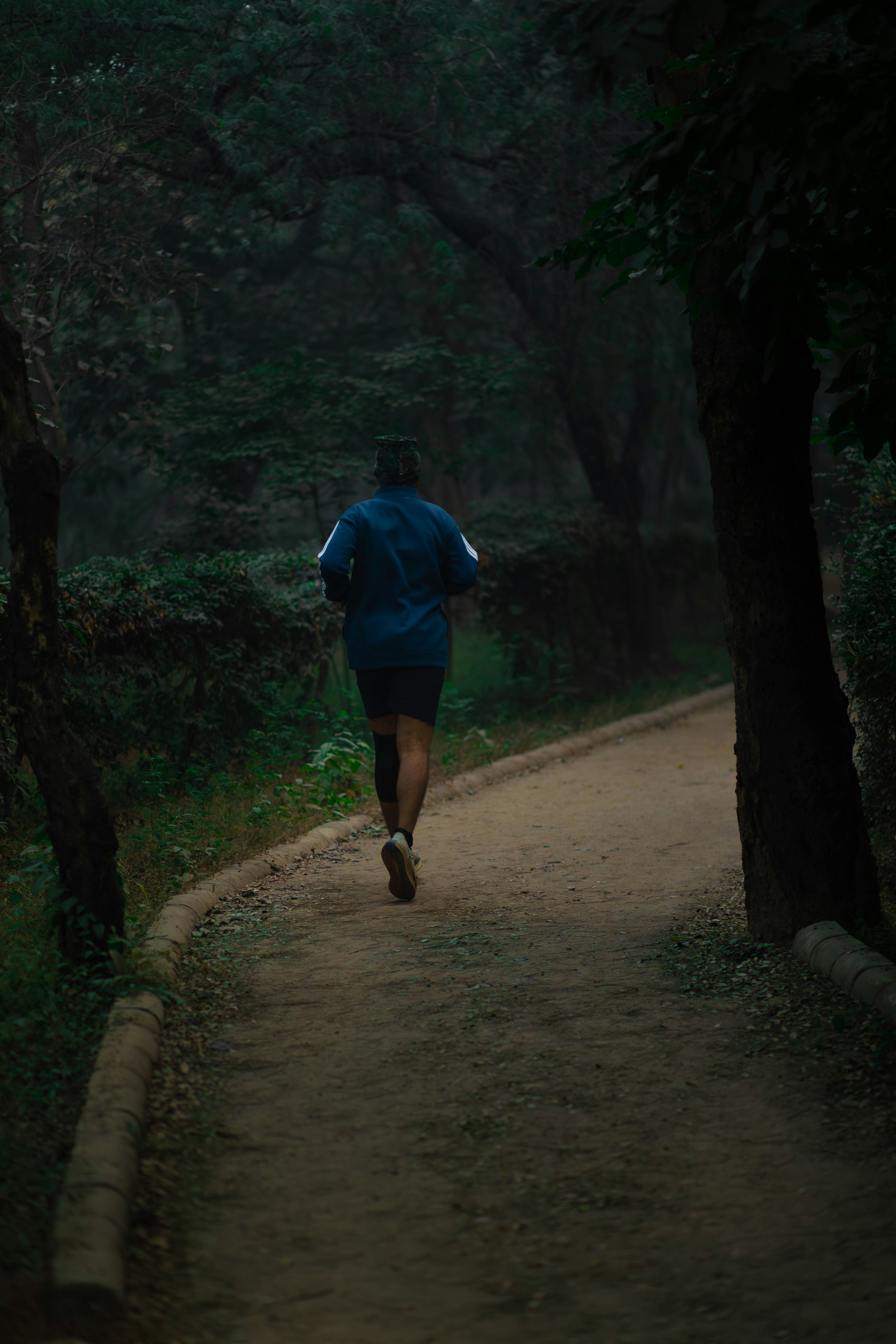 A person running down a path in the woods photo – Free Human Image on ...