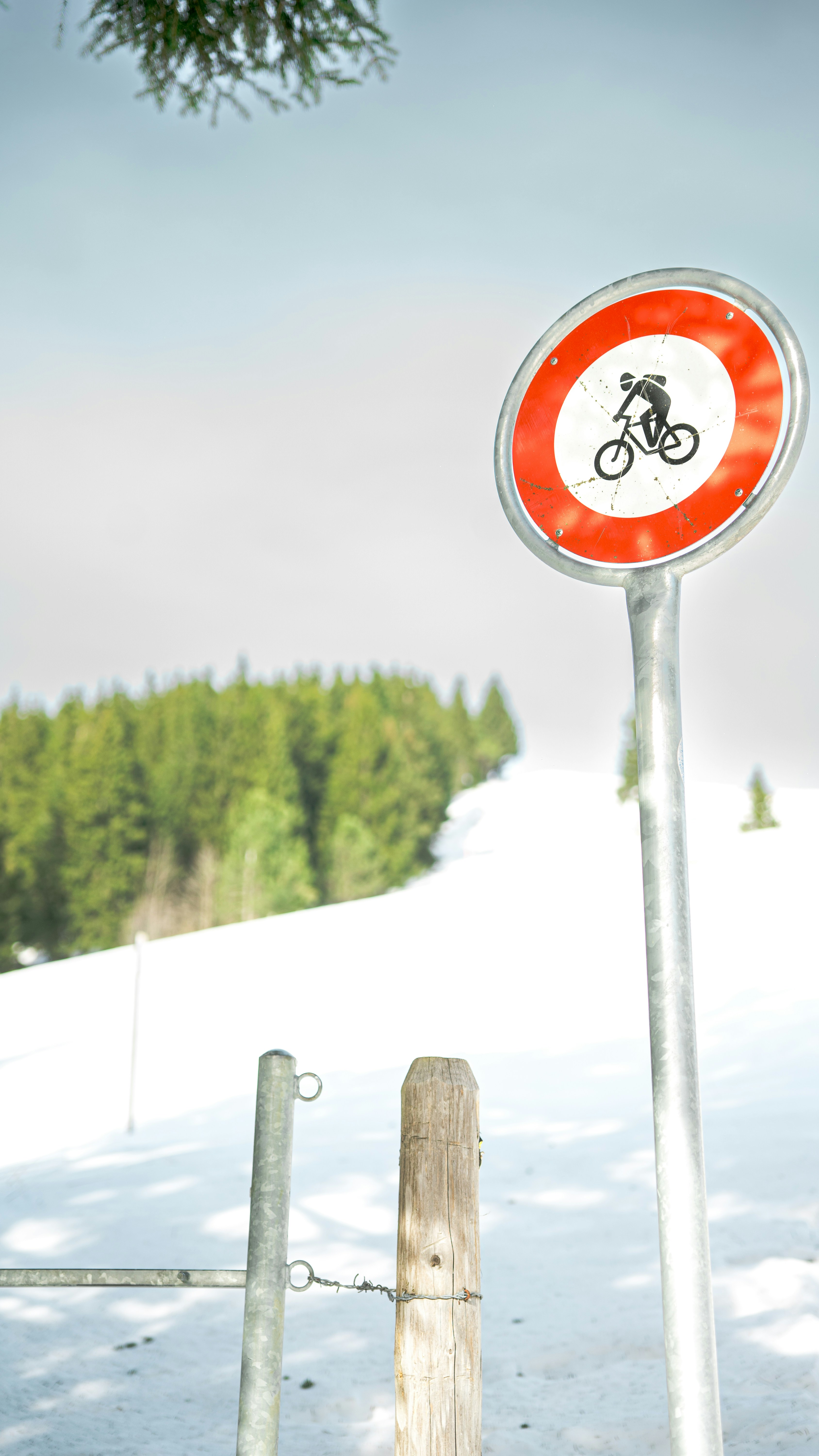 Snowfield Sentinel: The Prohibition Sign Against a Quiet Winter Landscape
