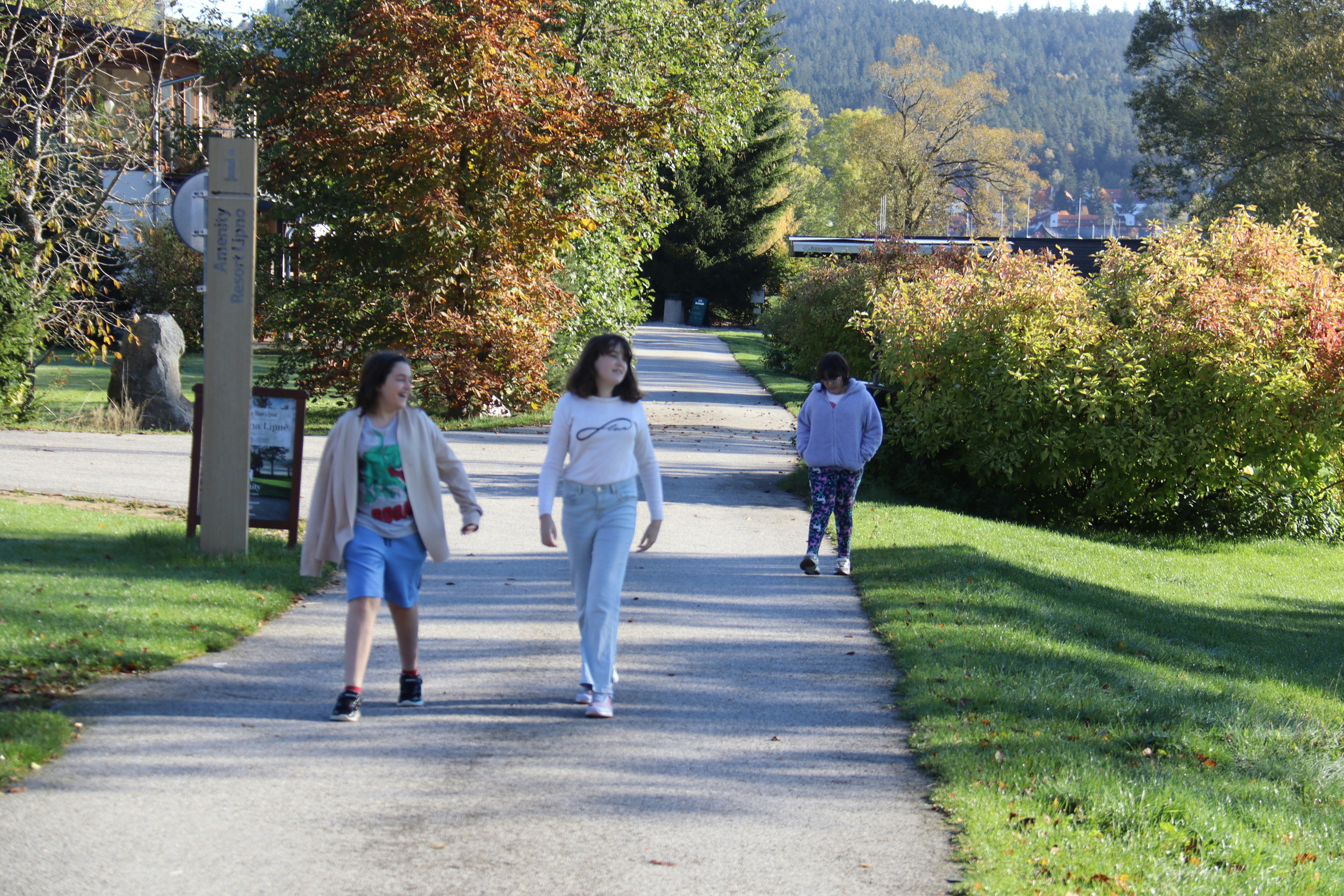 Autumn Light on a Park Path: Friends in Conversation
