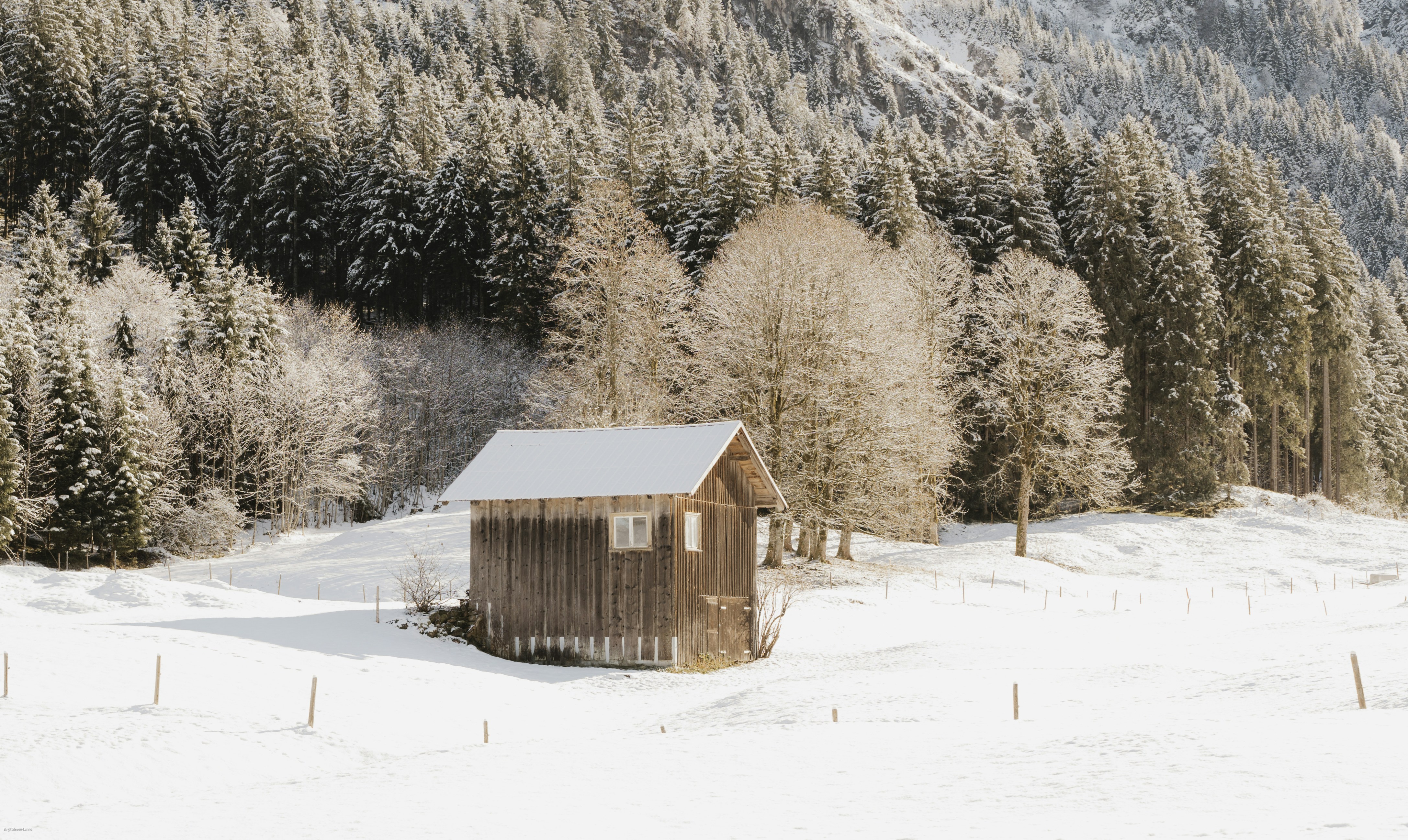 Una pequeña cabaña en medio de un campo nevado foto – Imagen de ...