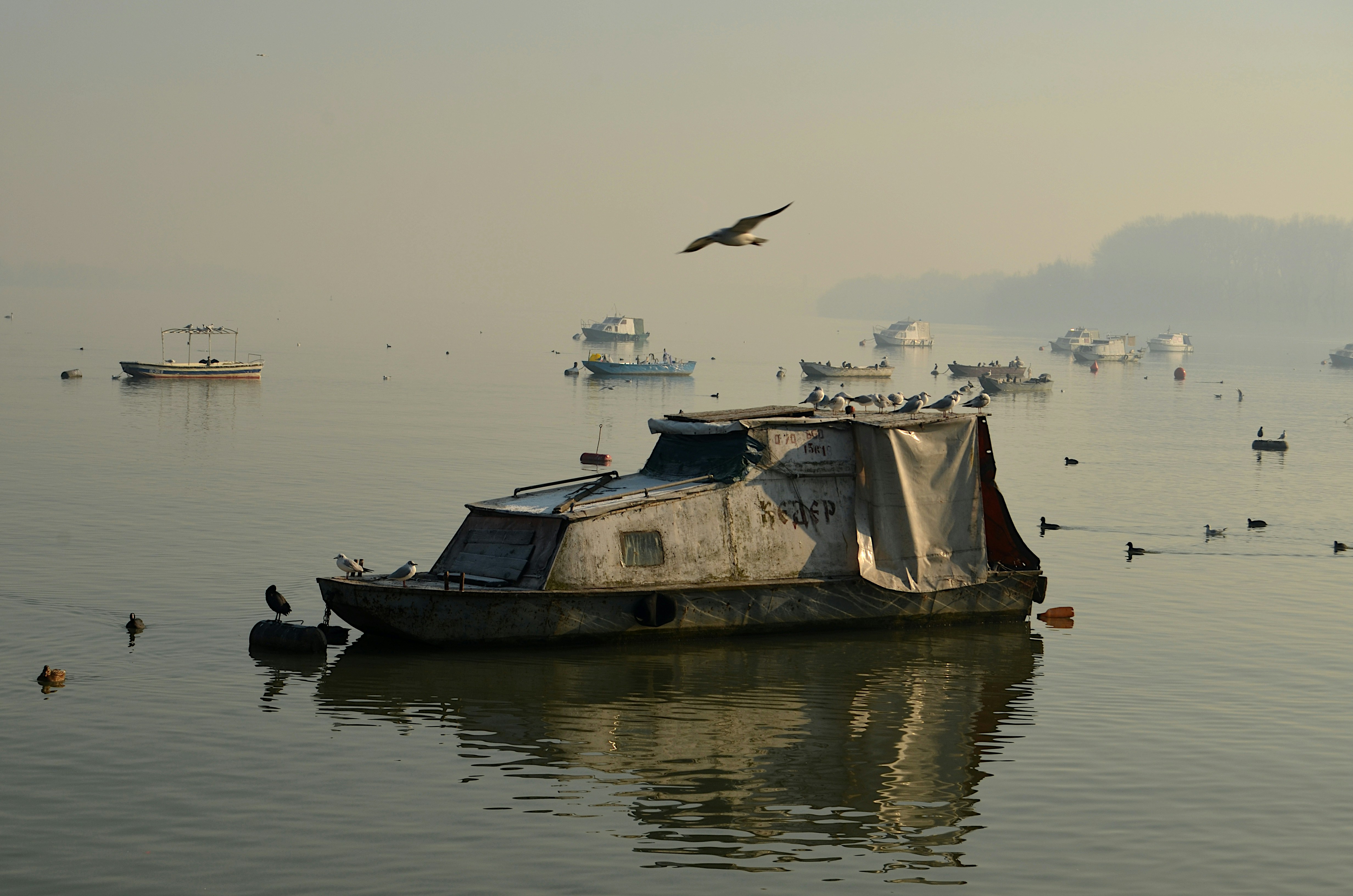 Muted Harbor Drifter: A Weathered Boat Amid a Veiled Dawn