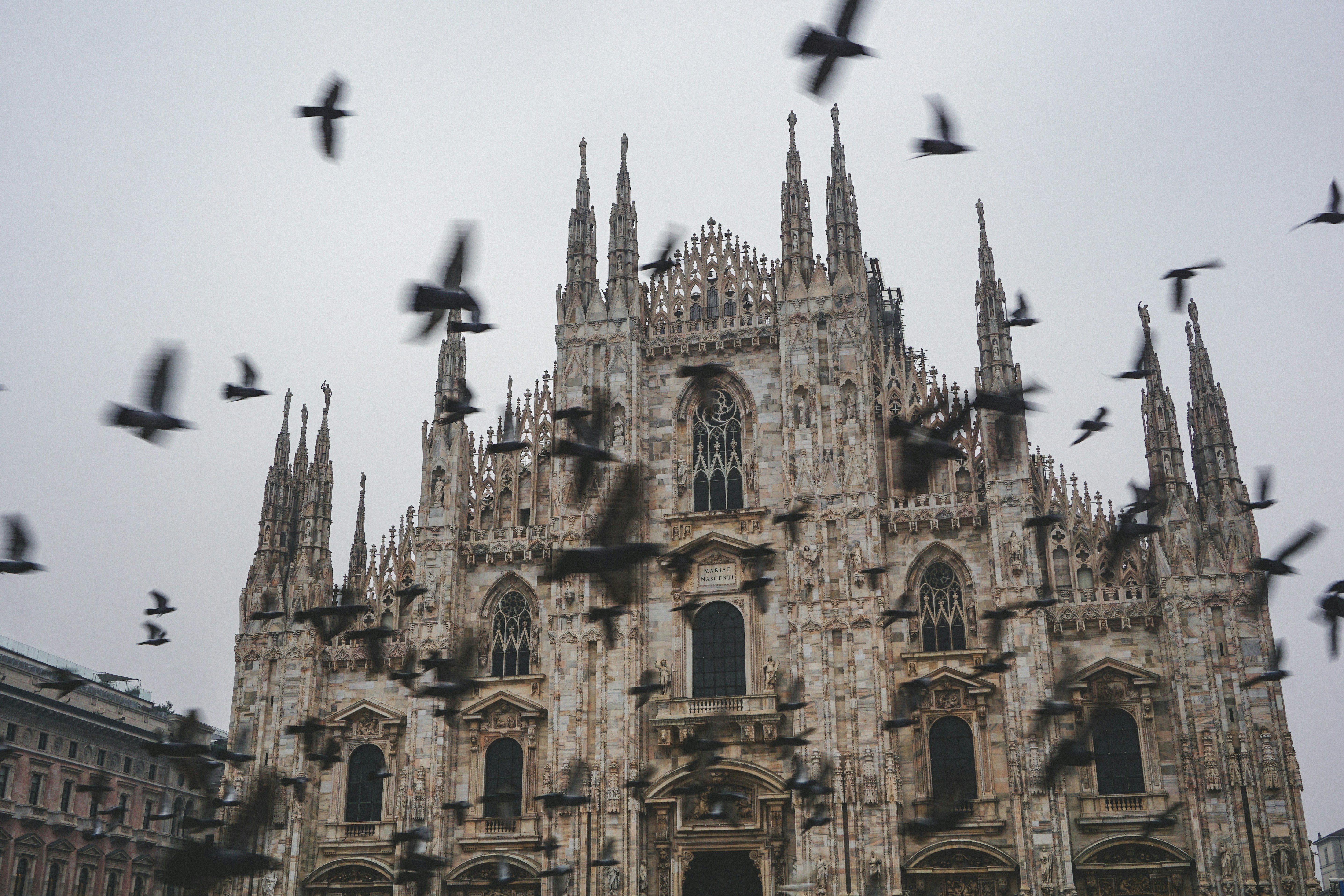 A large building with many birds flying around it