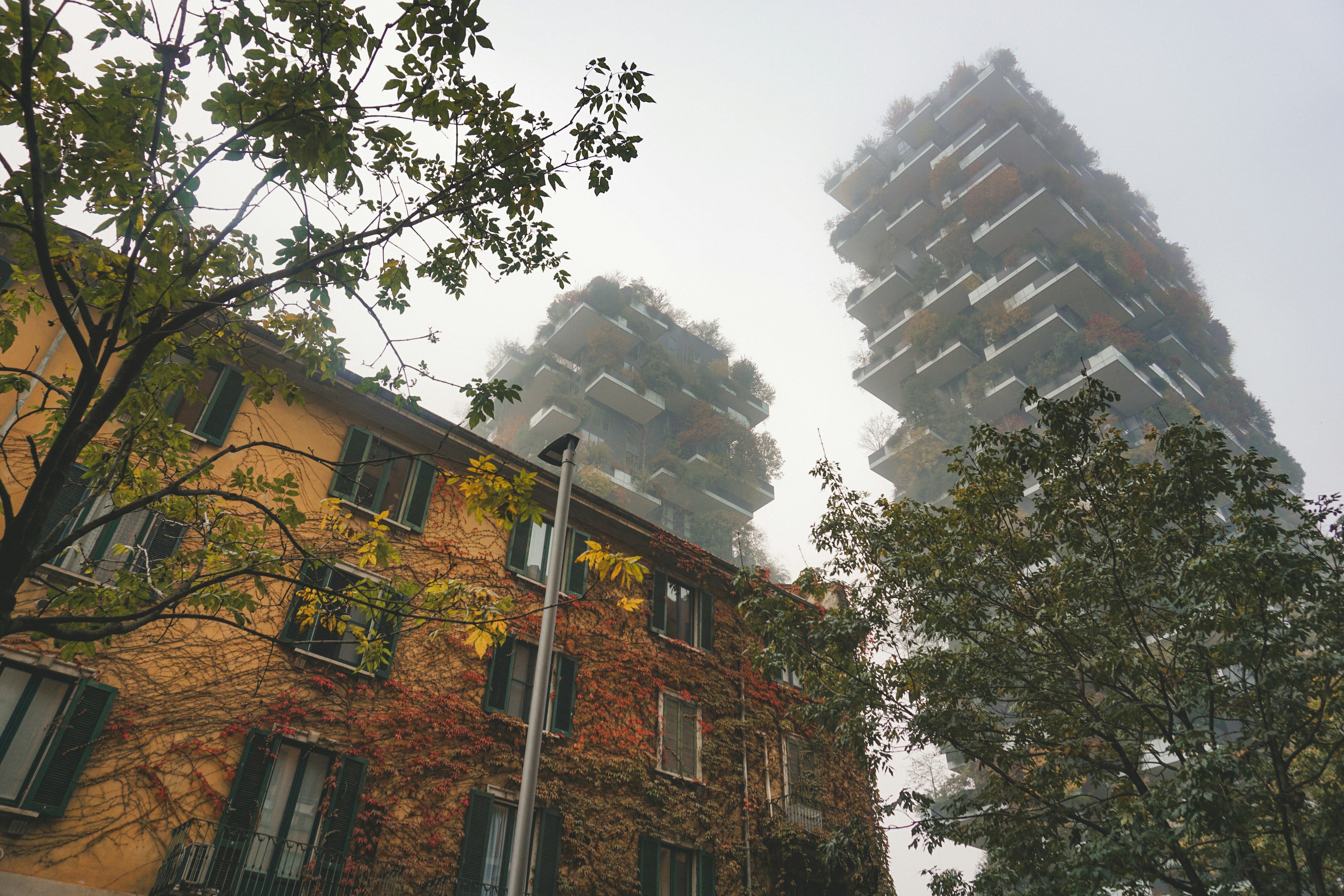 Vertical Vigil: Two Towers Pierce the Mist