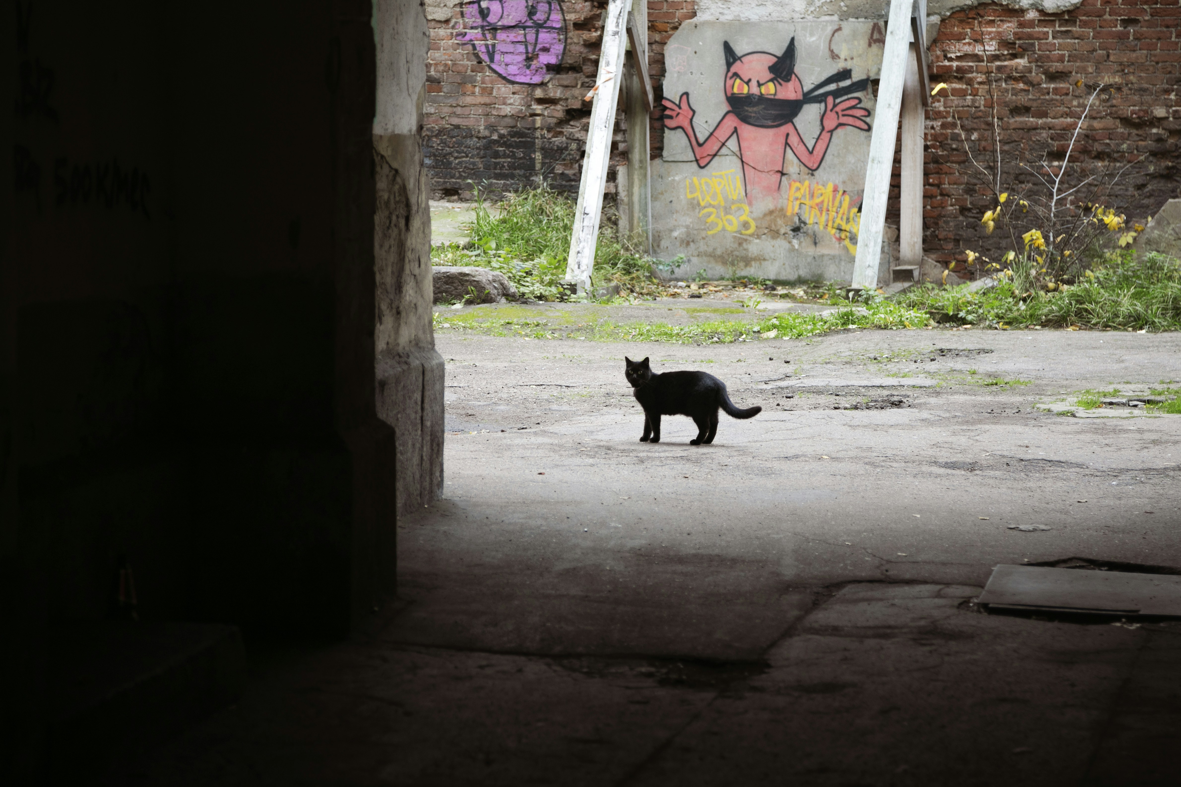 Photo by Belov Sergey with Canon EOS 5D Mark IV