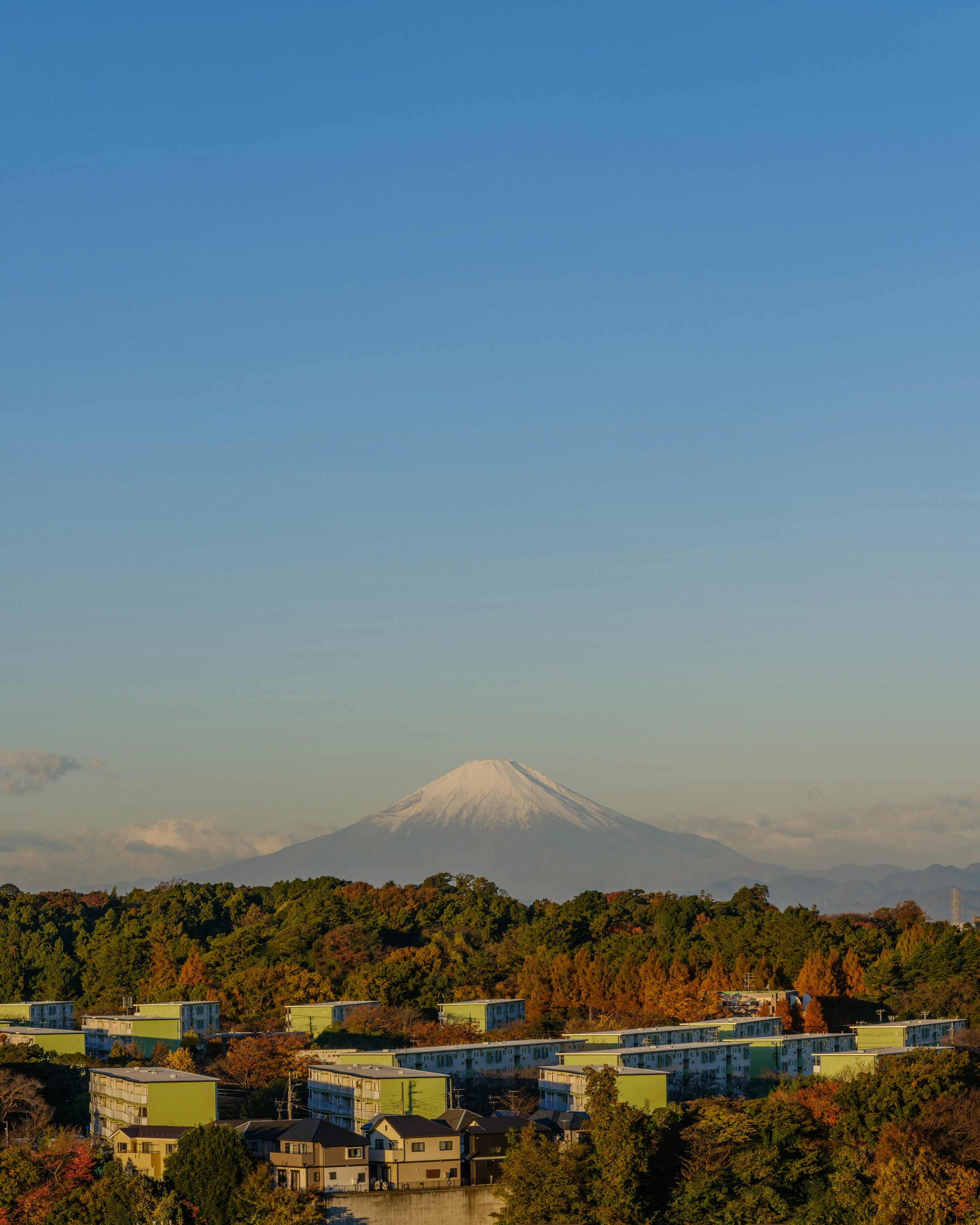 Snow-capped Peak Over a Quiet Suburban Horizon