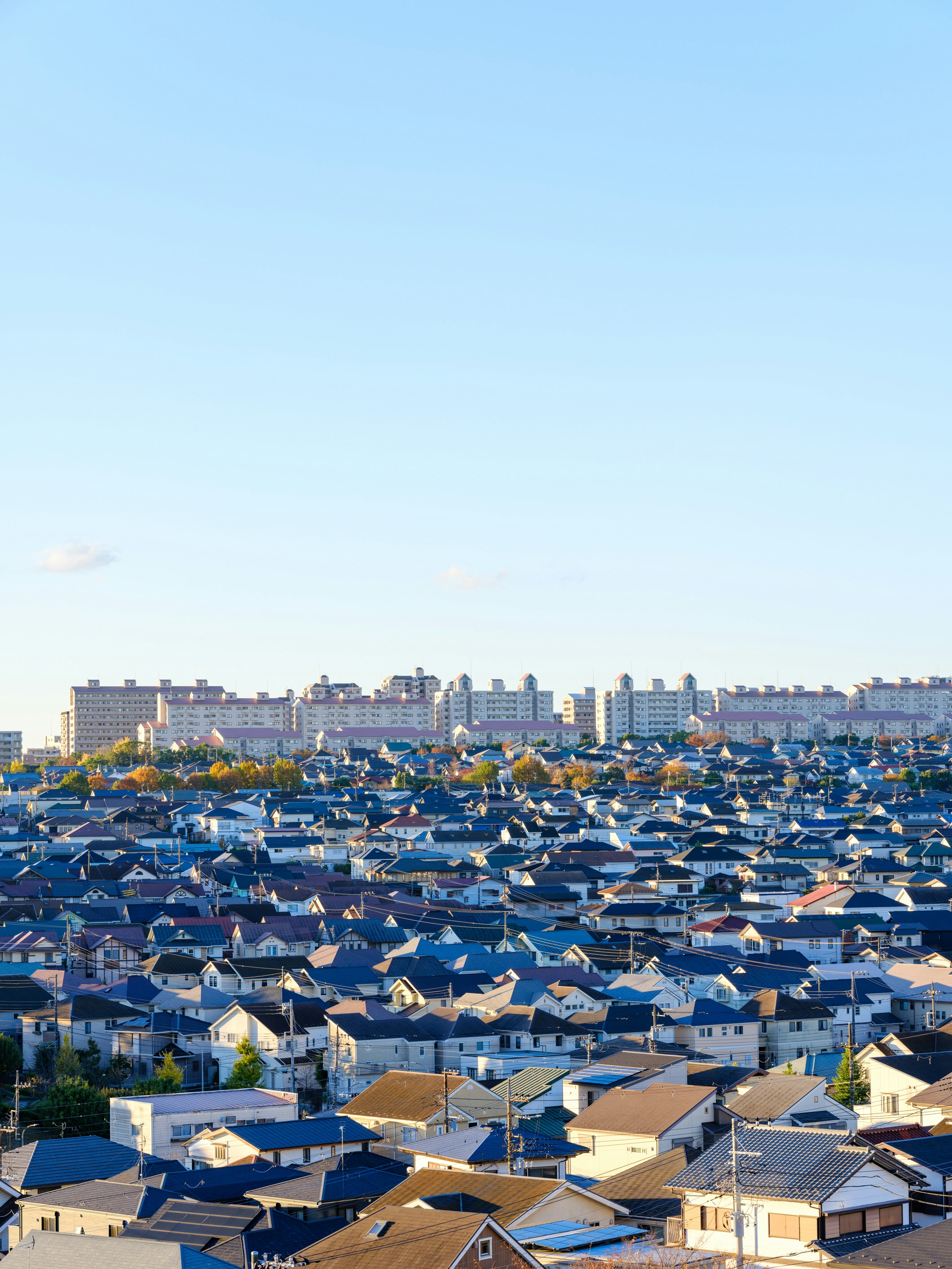 Sunlit Roofscape: A Quiet Sea of Quiet Homes Under an Expansive Sky