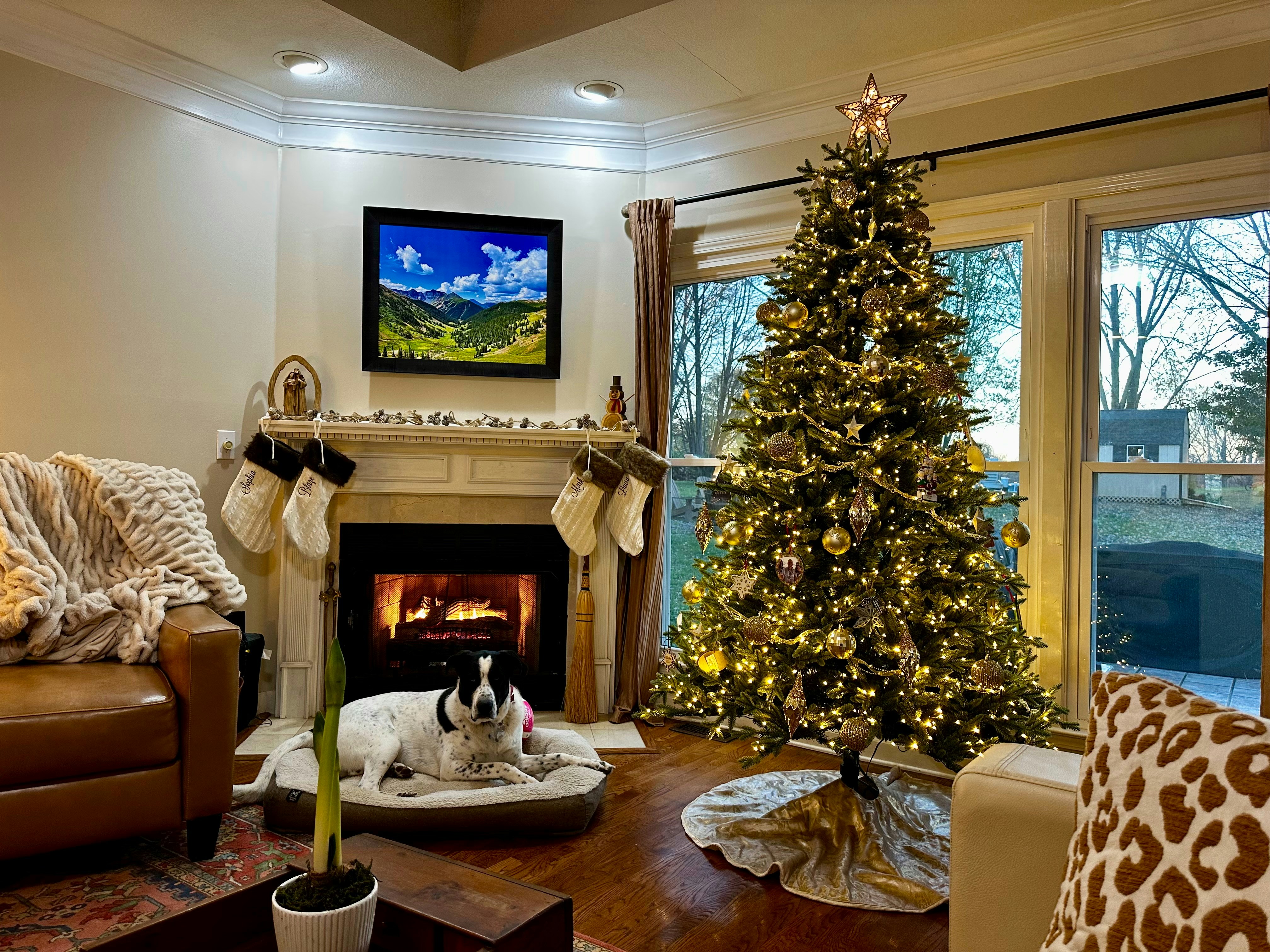 Hearthlight and Pine: A Dog’s Quiet Moment in a Cozy Christmas Living Room