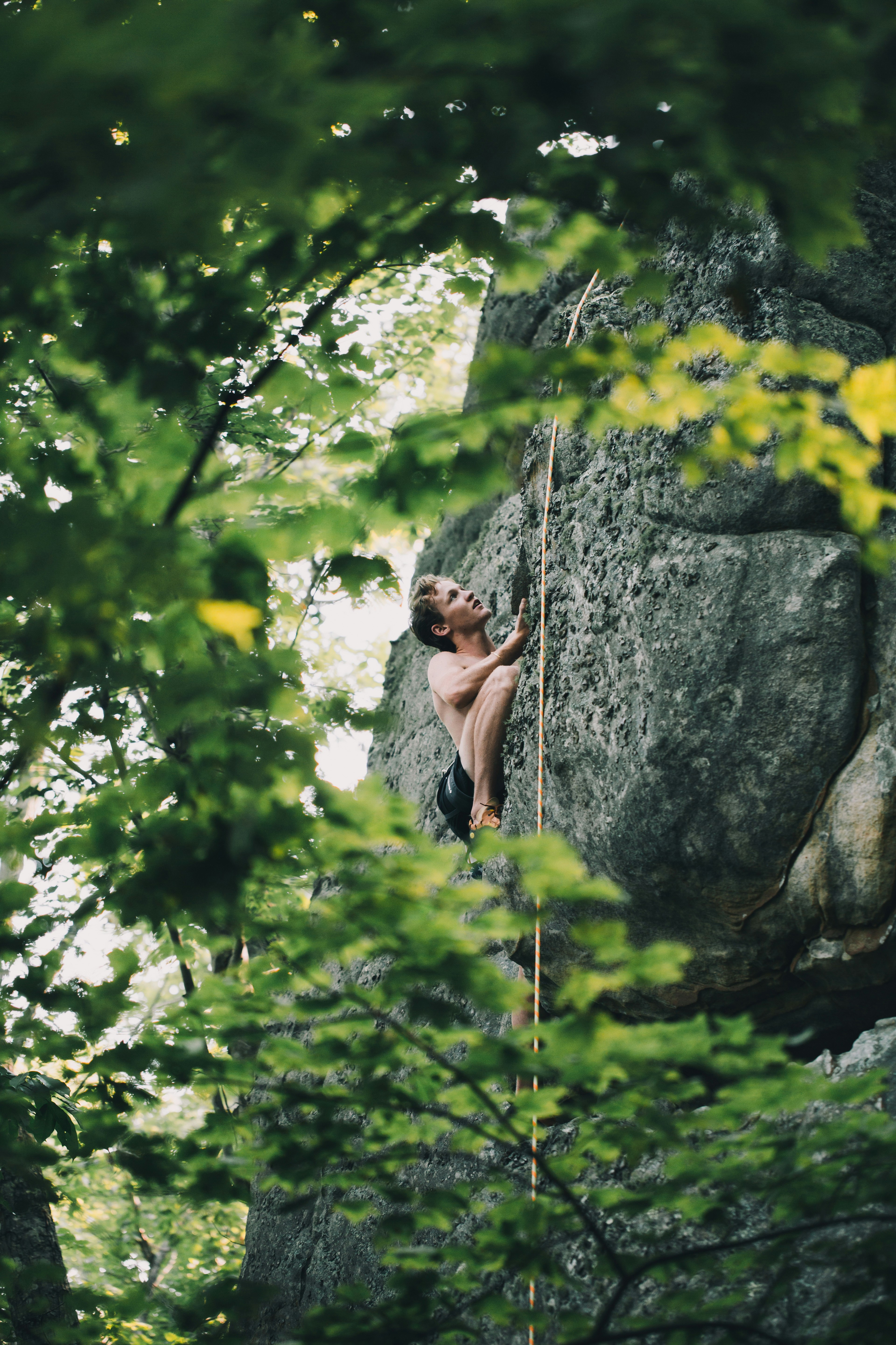 Green Canopy, Granite Grip: A Climber's Quiet Ascent