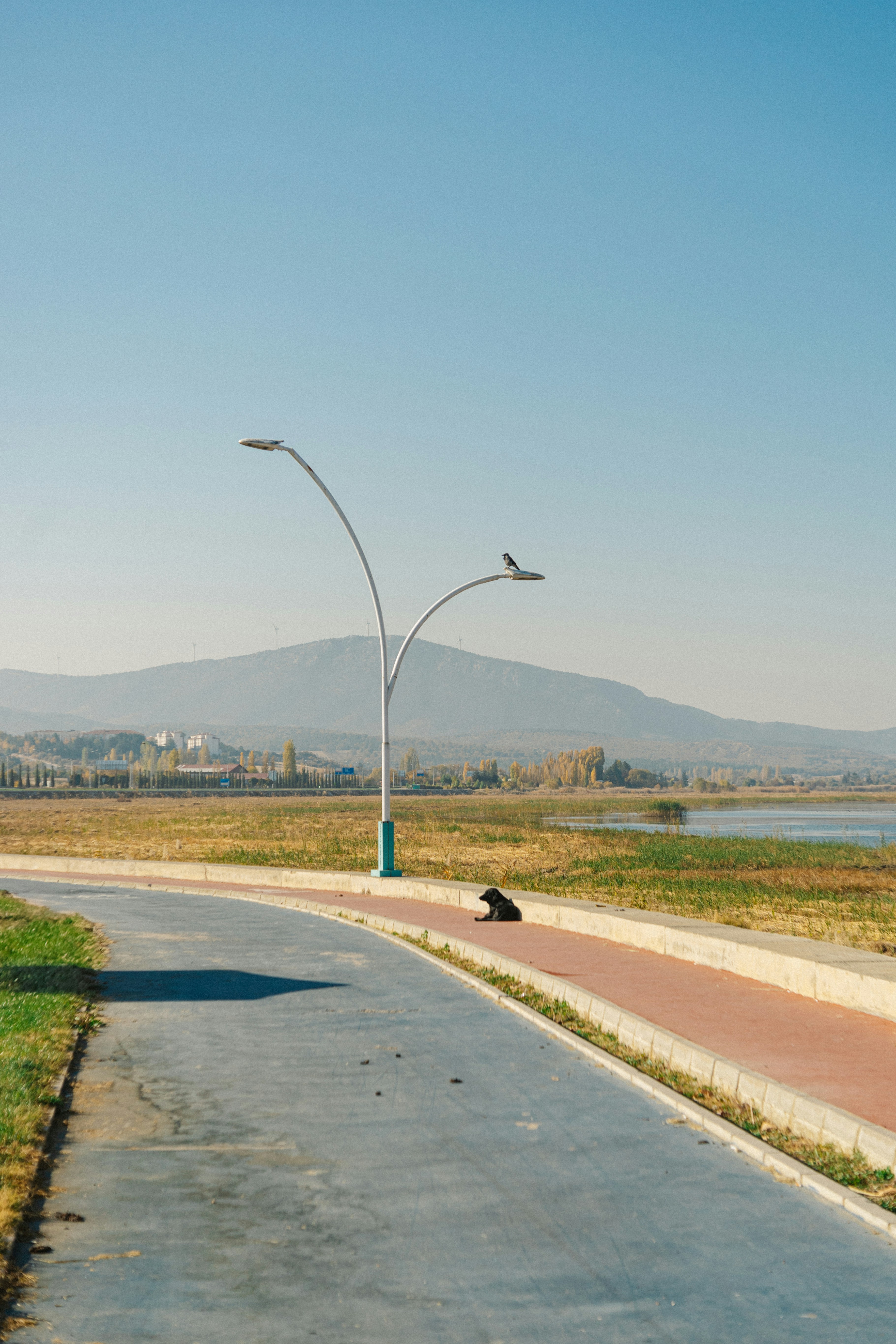 Curved lamps and quiet path: lone figure on the lakeside promenade
