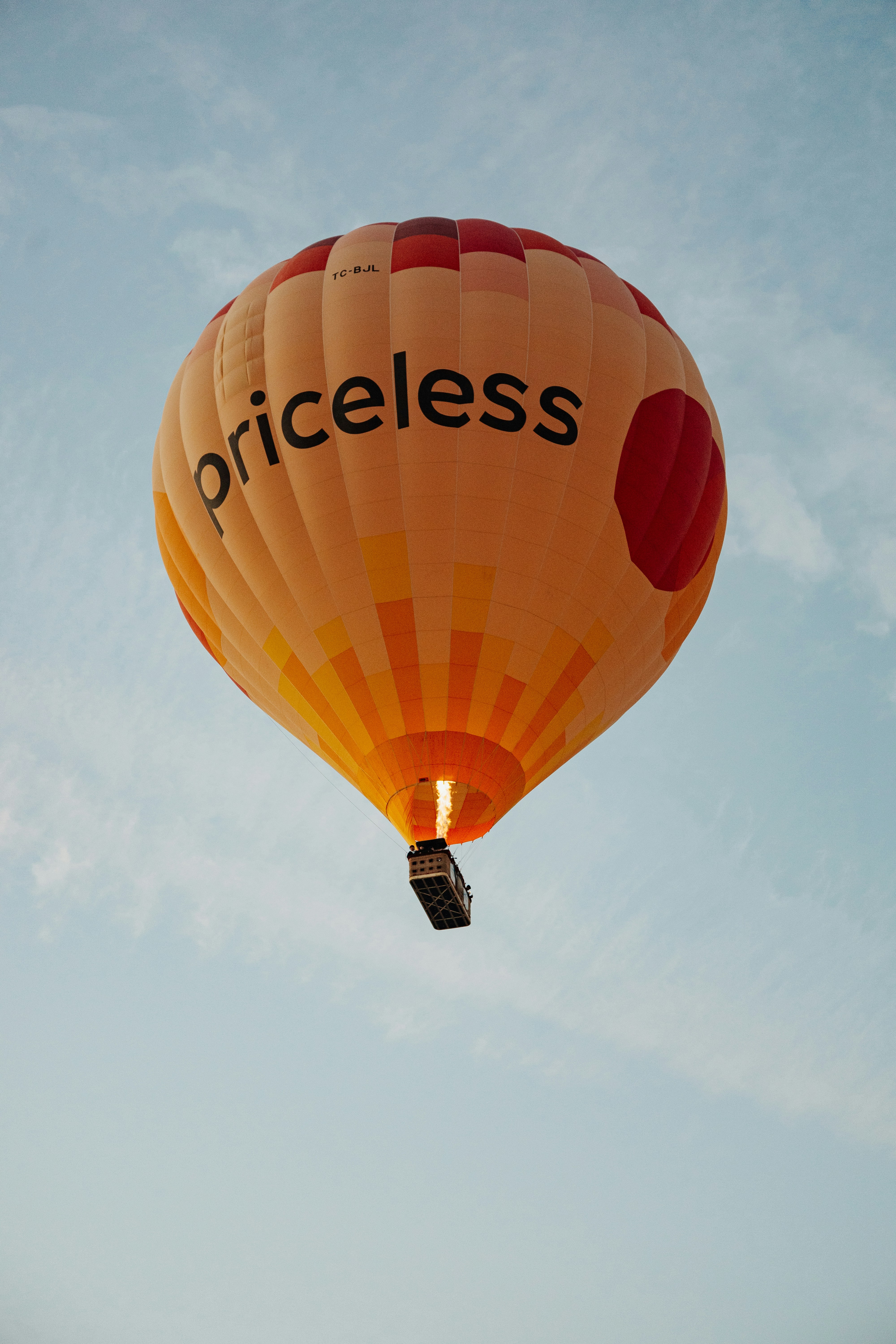 A hot air balloon with the word priceless written on it photo – Free ...
