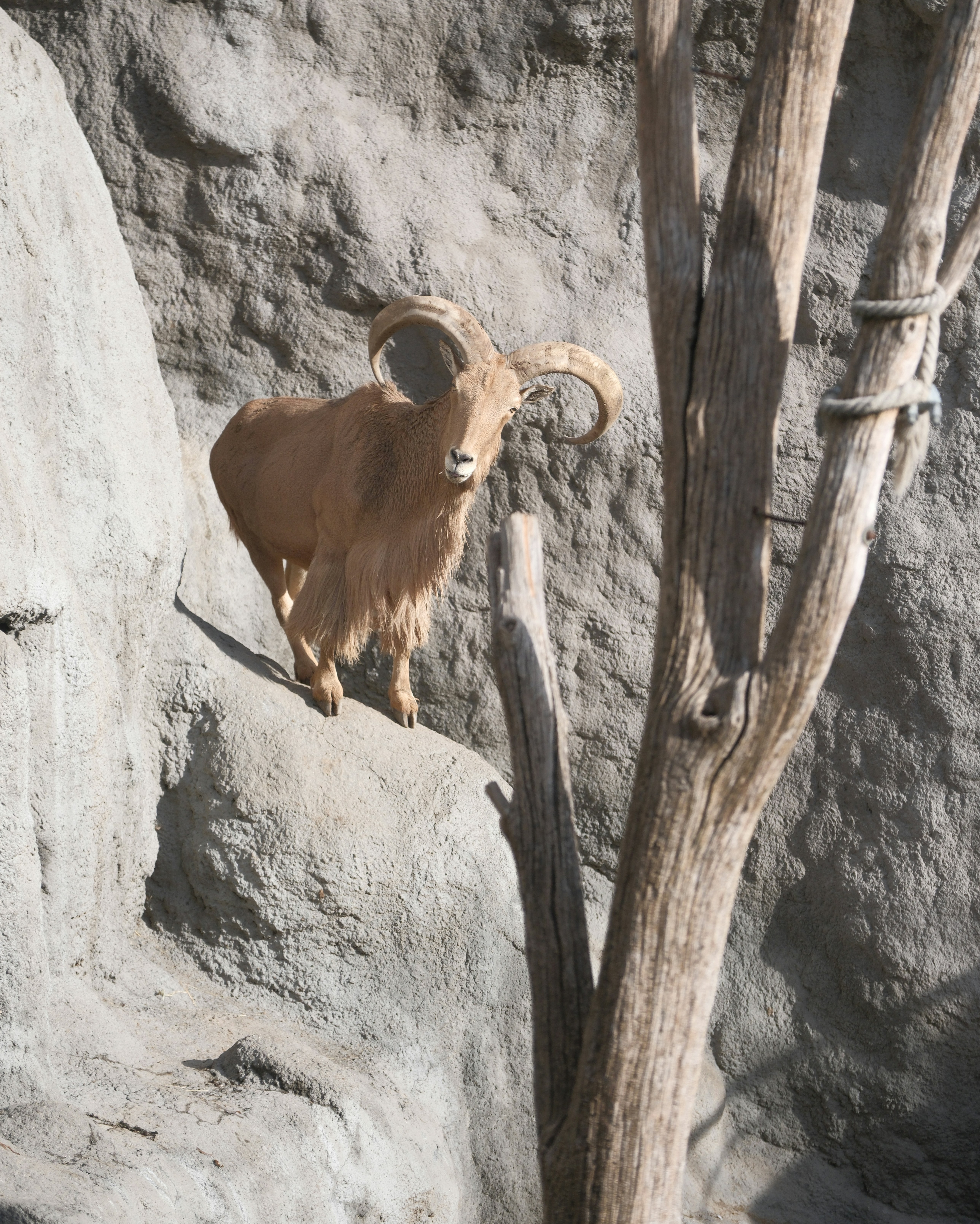 Photo by Simone Dinoia with Fujifilm X-T5