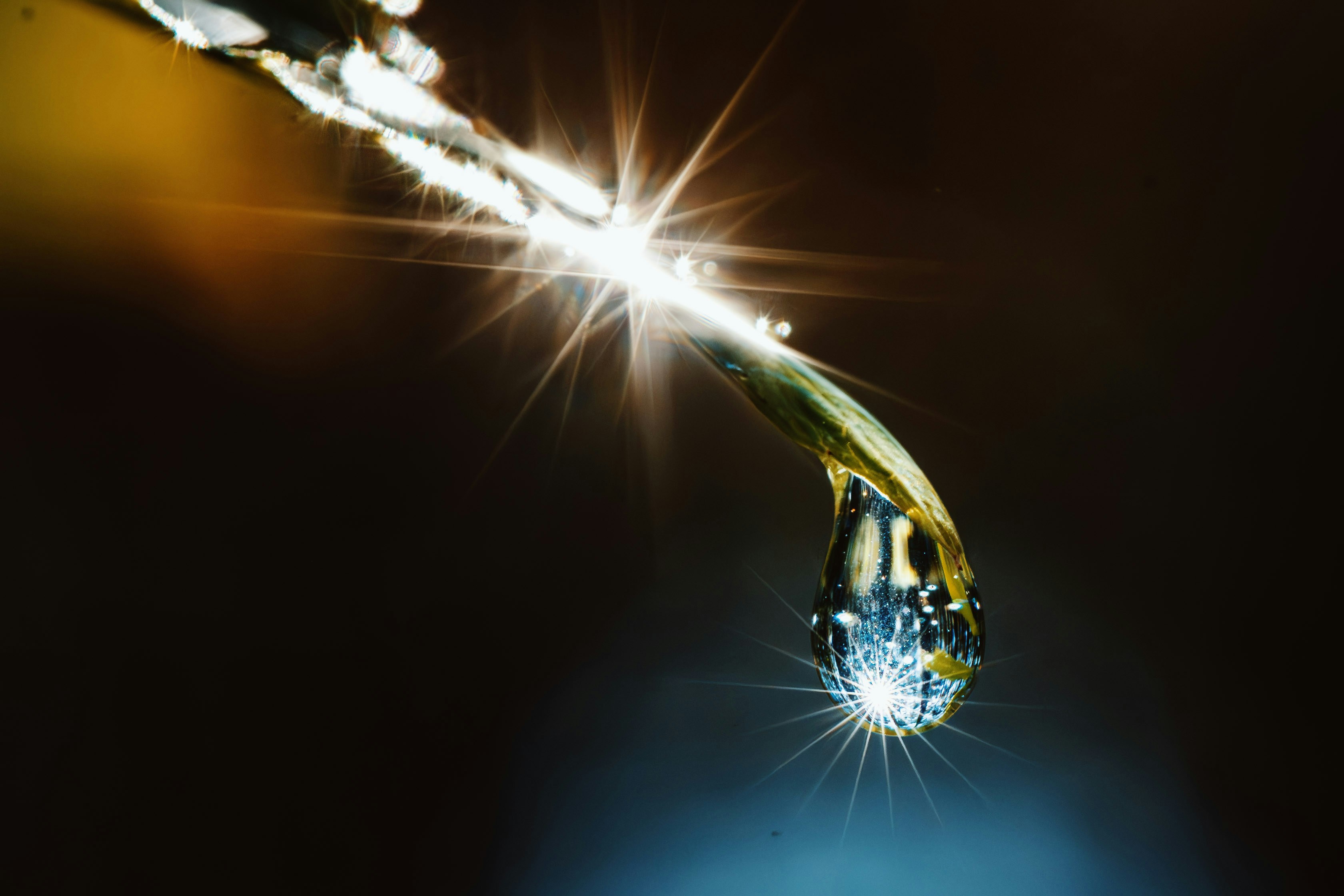 Liquid Diamond on a Gleaming Thread