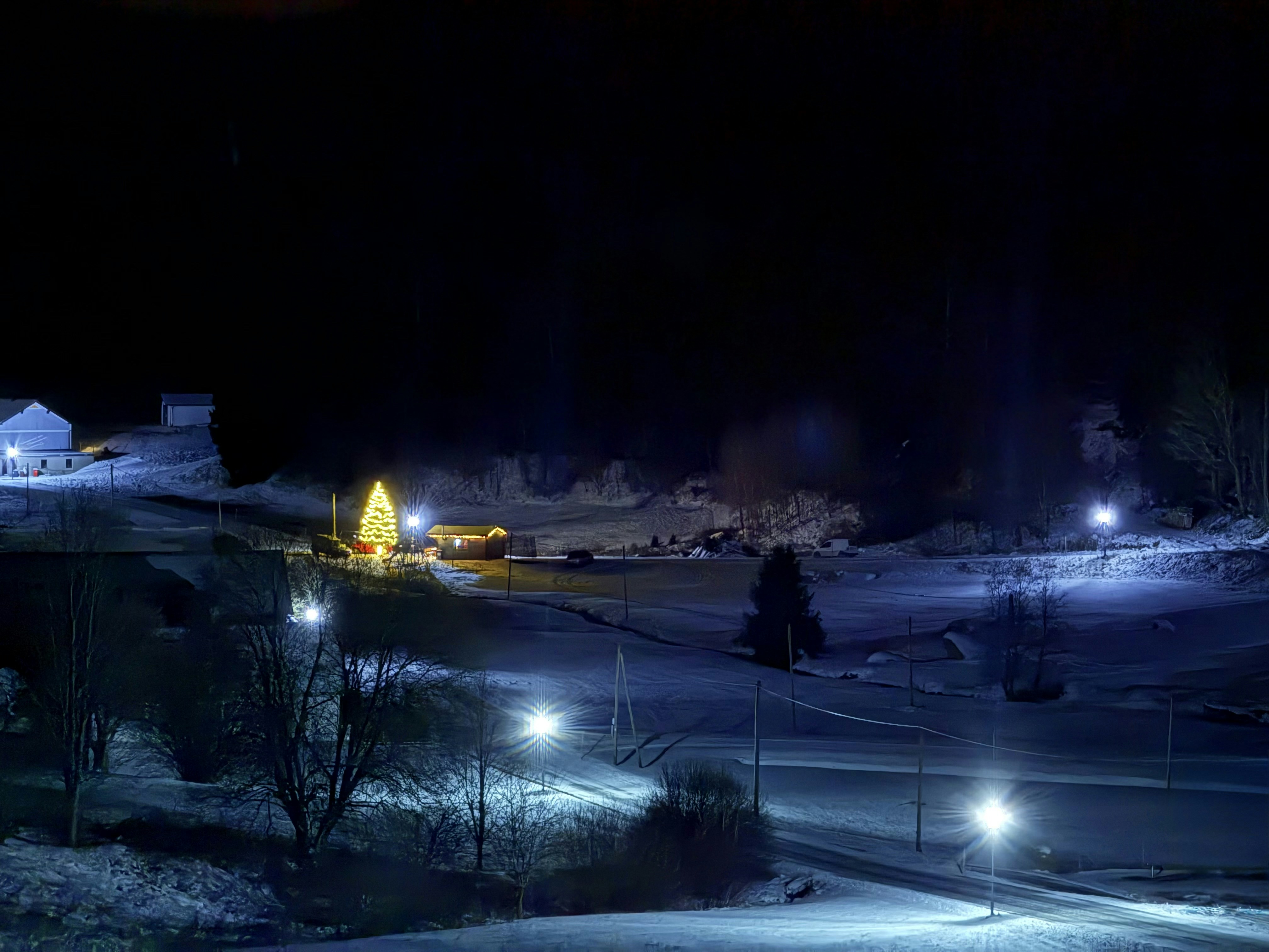 Nighttime snow-covered landscape photograph featuring a warmly lit Christmas tree beside a quiet road and scattered lamps.