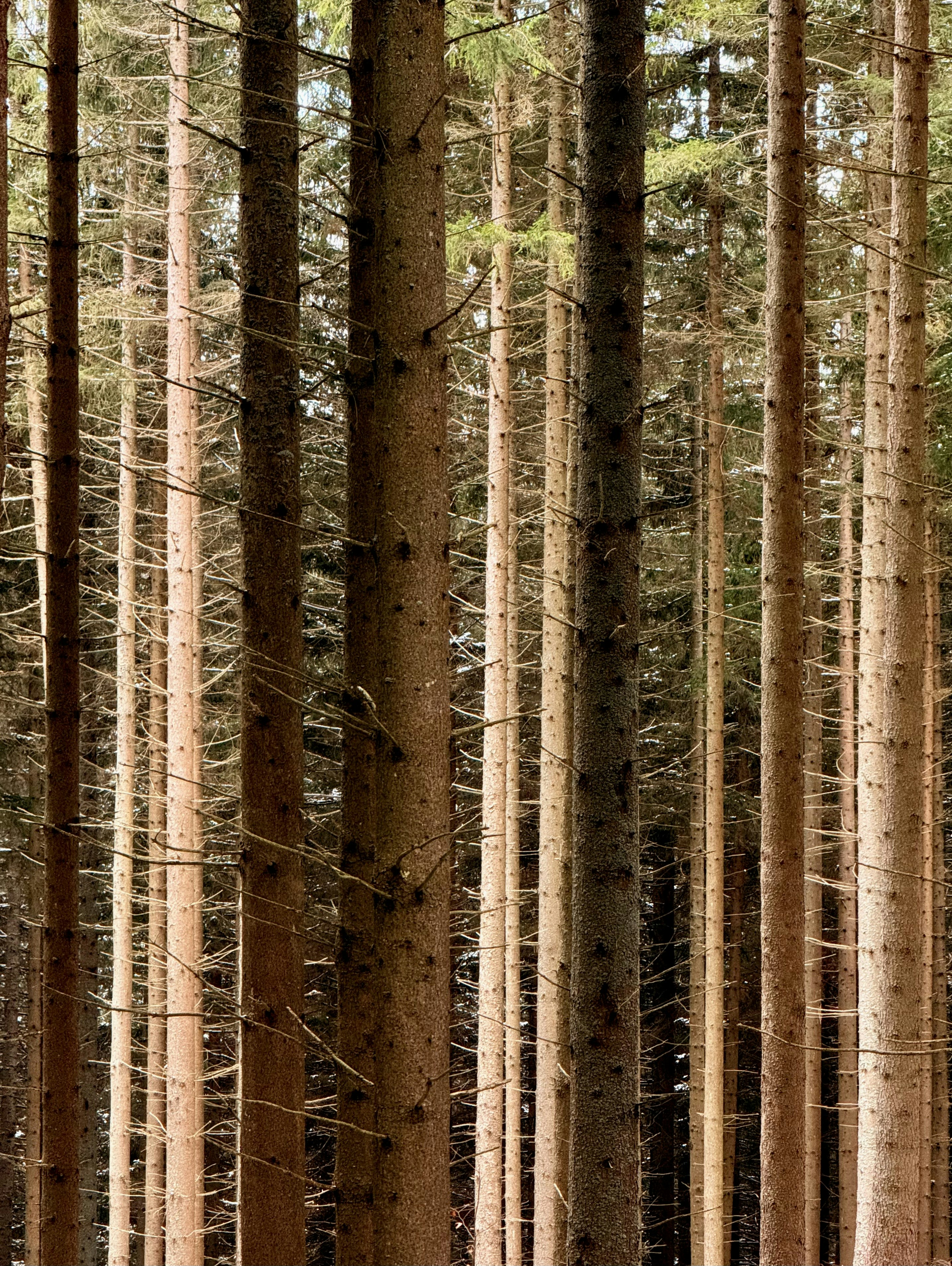 Sample photo from Apple iPhone 16 Pro