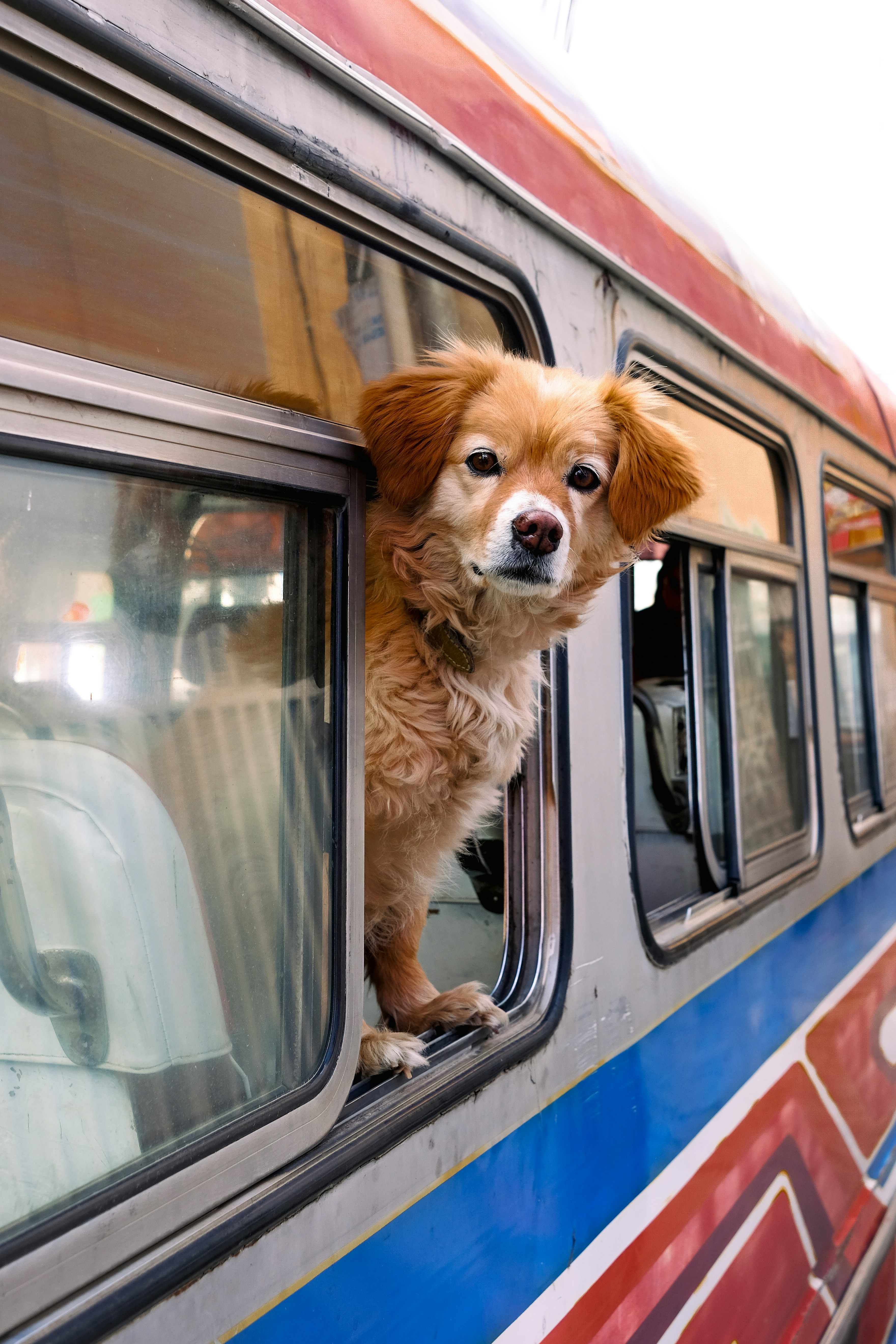 Photo by Falco Negenman with Fujifilm X-E3