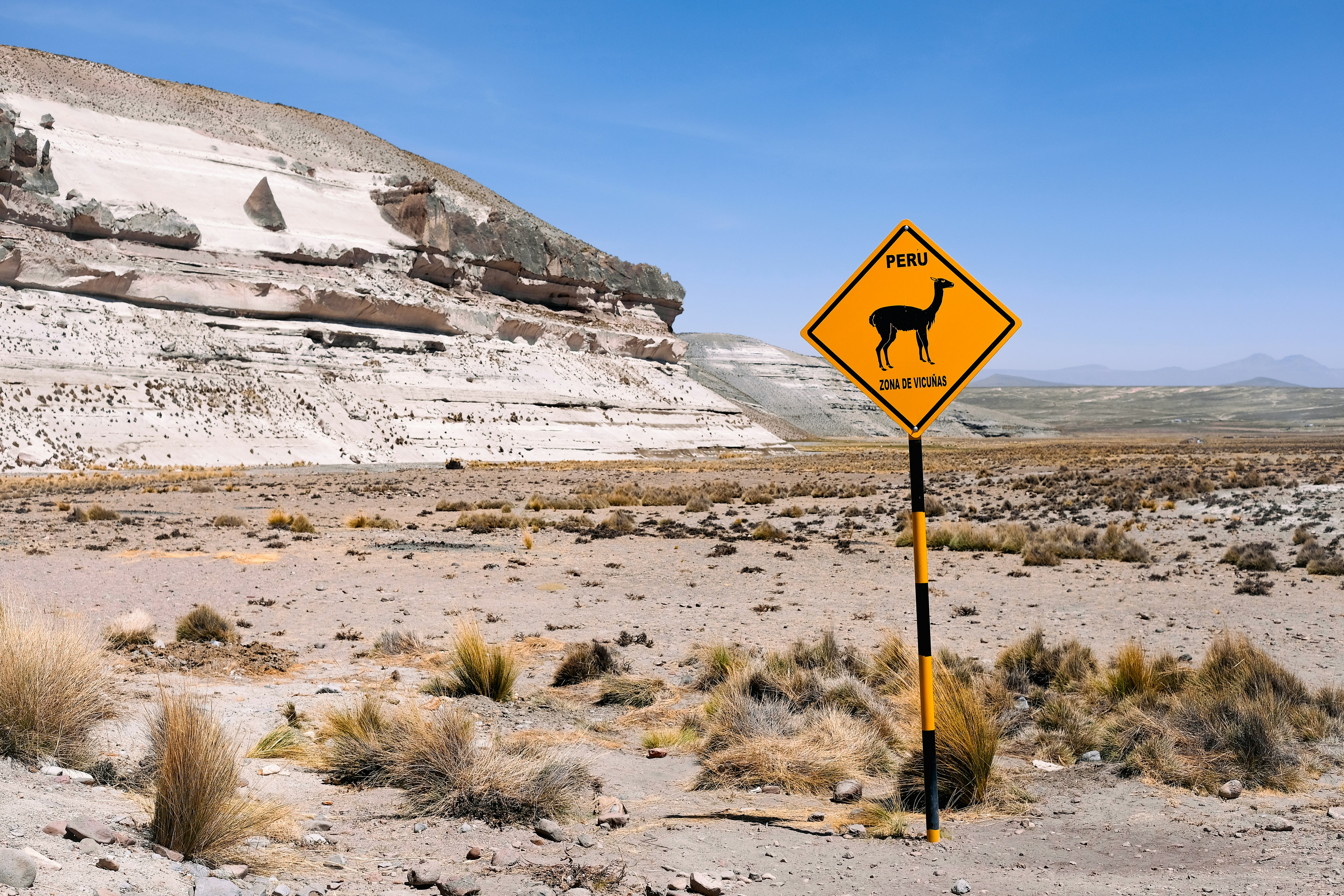Peruvian Desert Camel Crossing Sign: Quiet Sentinel of the Arid Plain