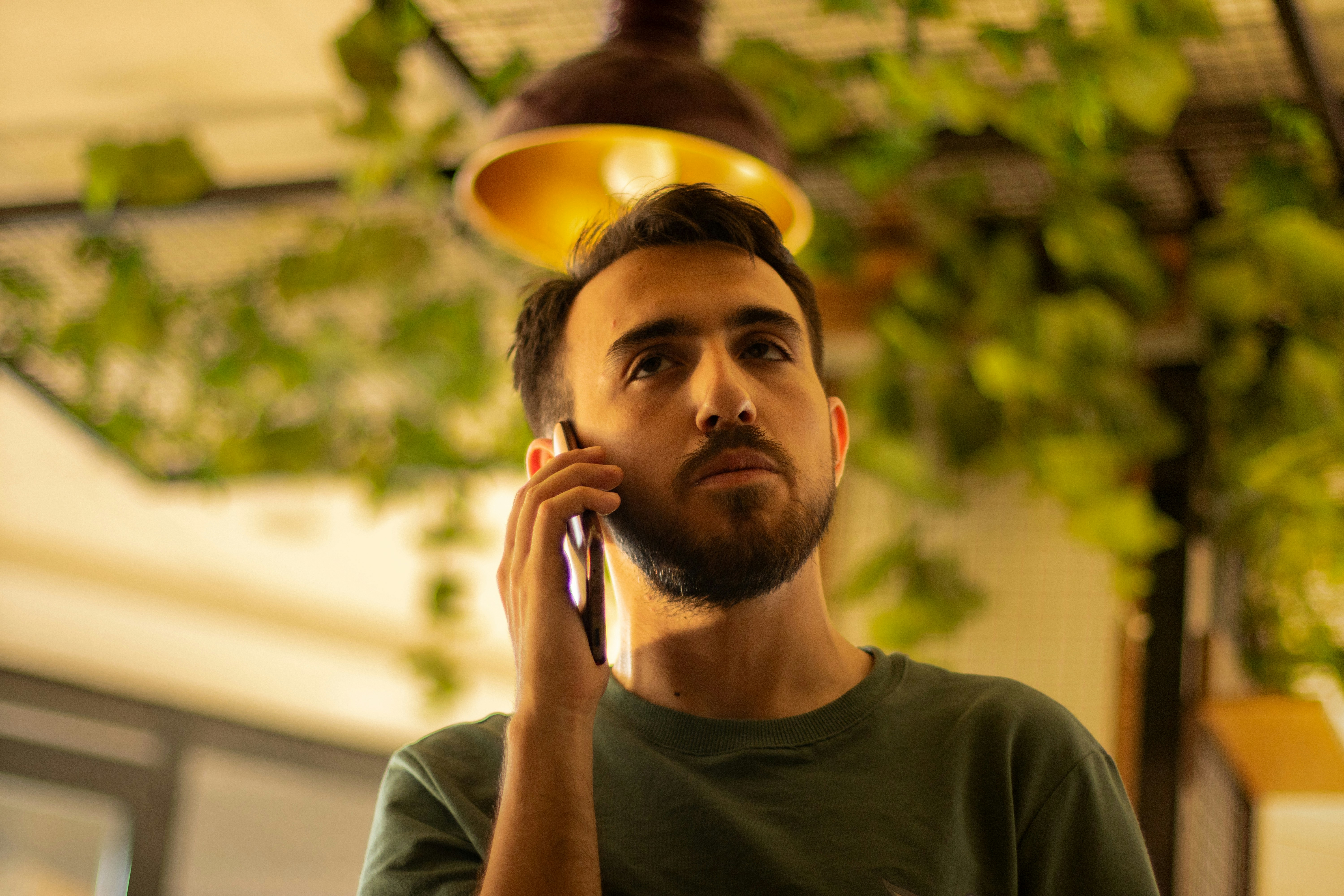Warm Amber and Focused Conversation: Portrait Under Indoor Foliage