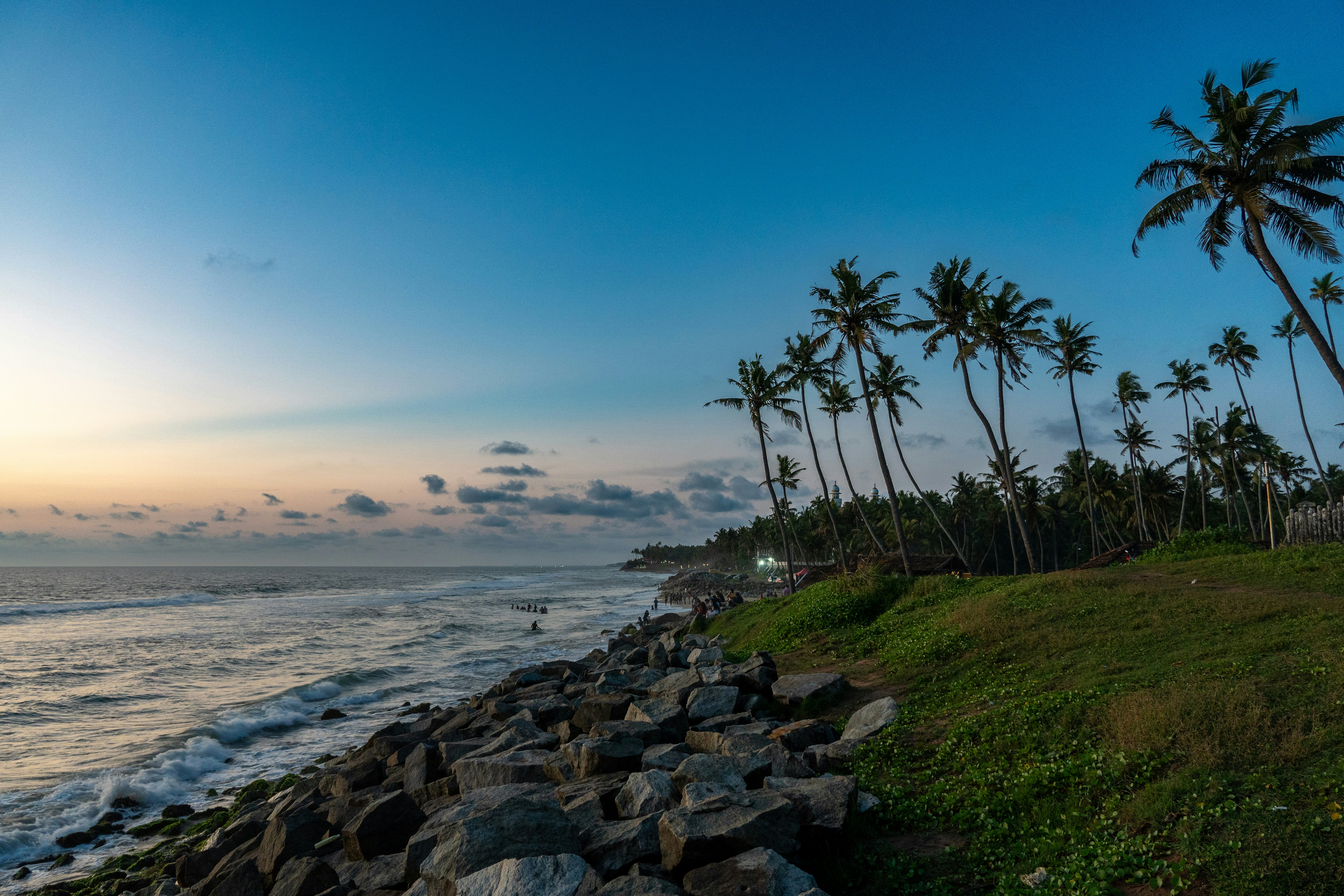 A view of a beach with palm trees and the ocean photo – Free Scenery ...