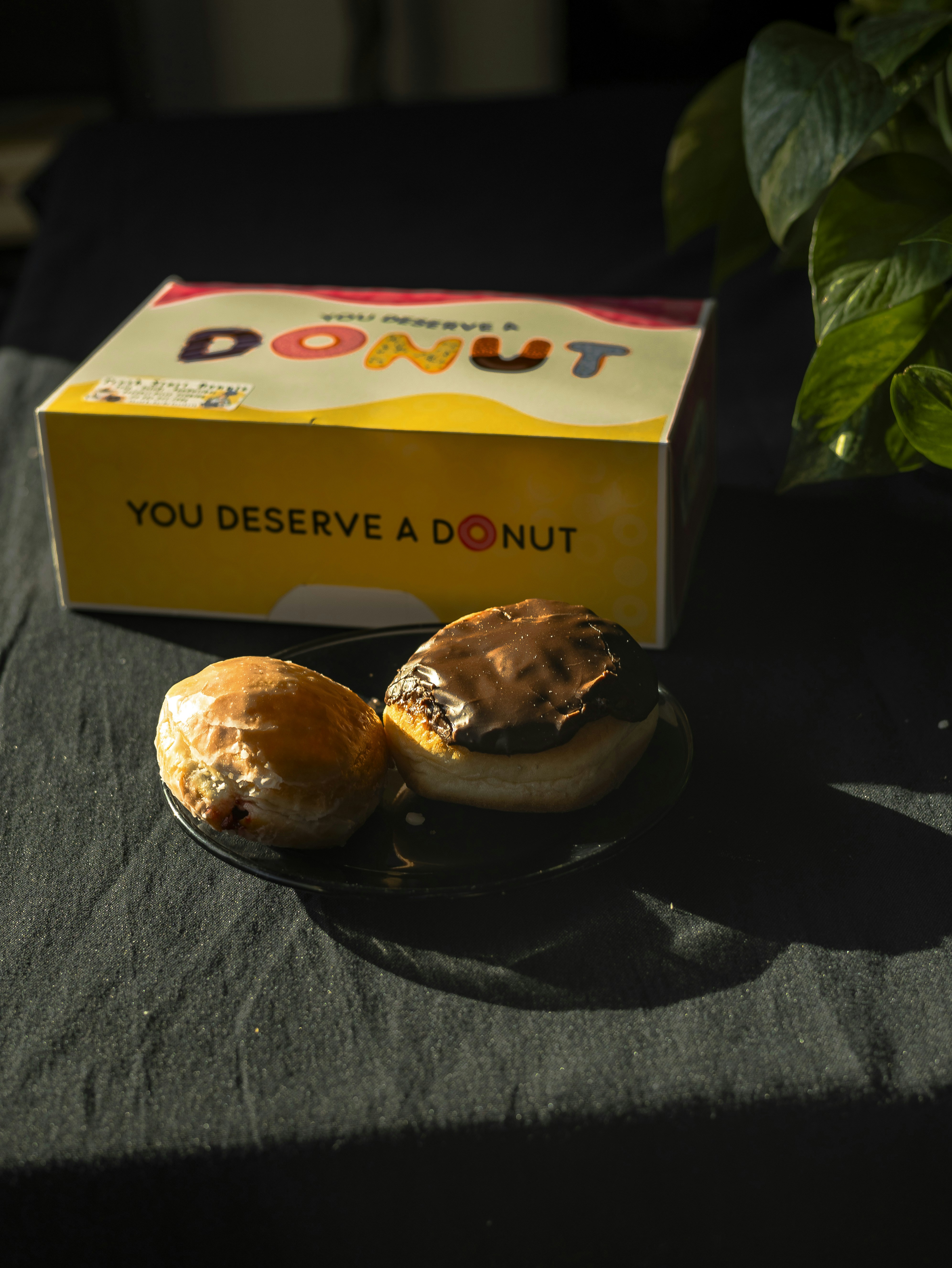 Sunlit Donuts Beside a Cheery Donut Box
