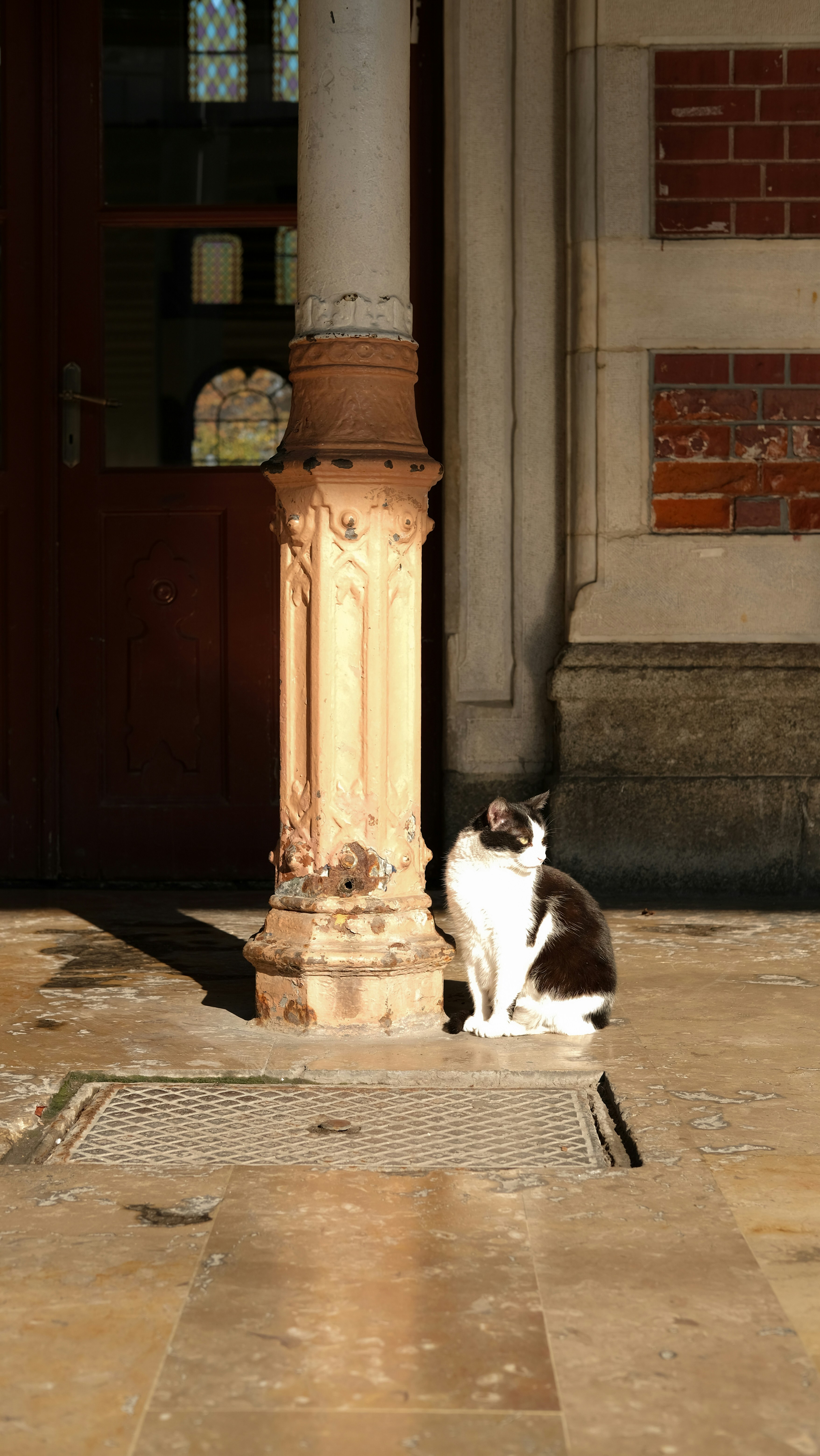 Sunlit Cat Beside an Ornate Column in a Historic Courtyard