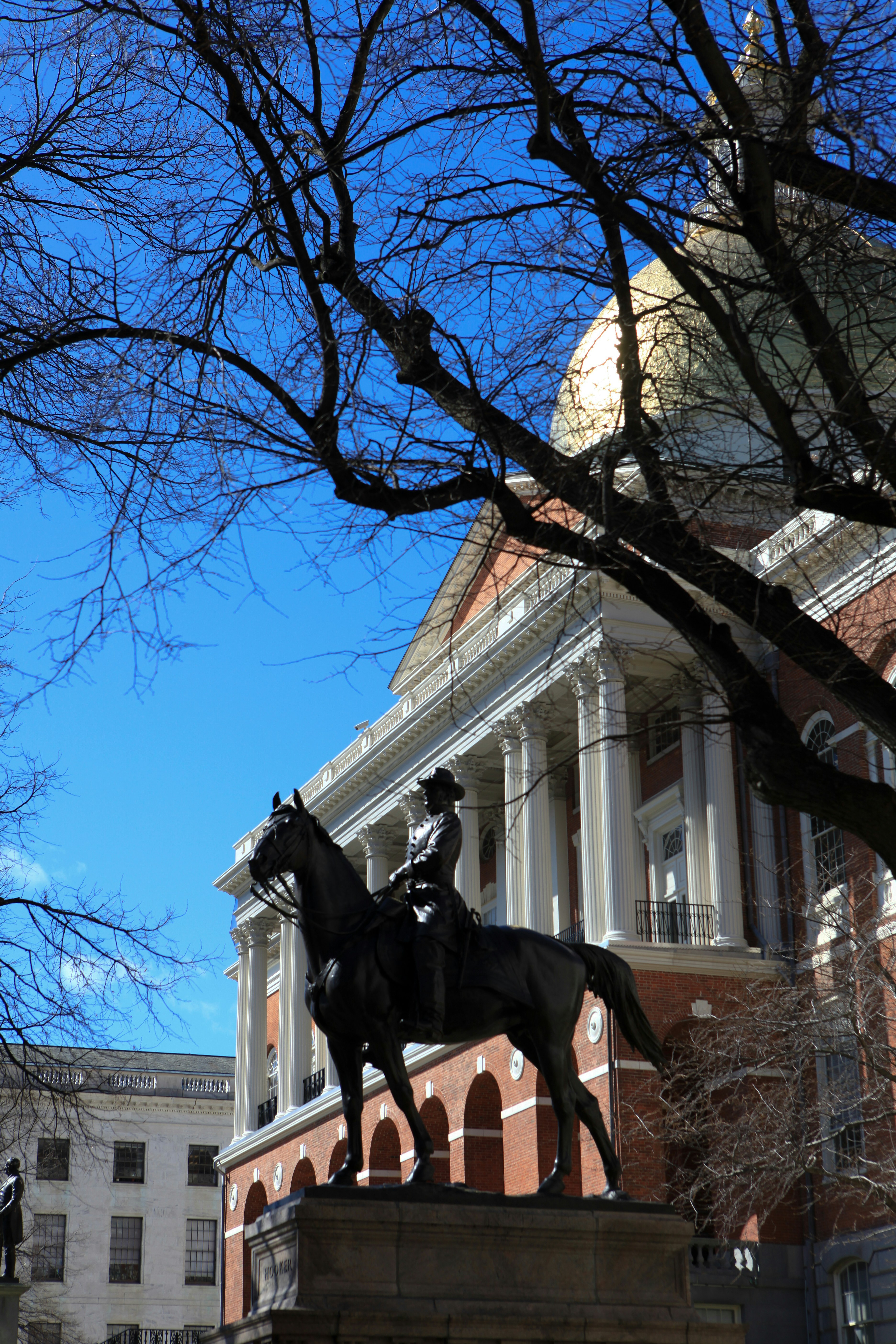 Equestrian Monument Framed by Bare Branches and a Blue-Sky Neoclassical Facade