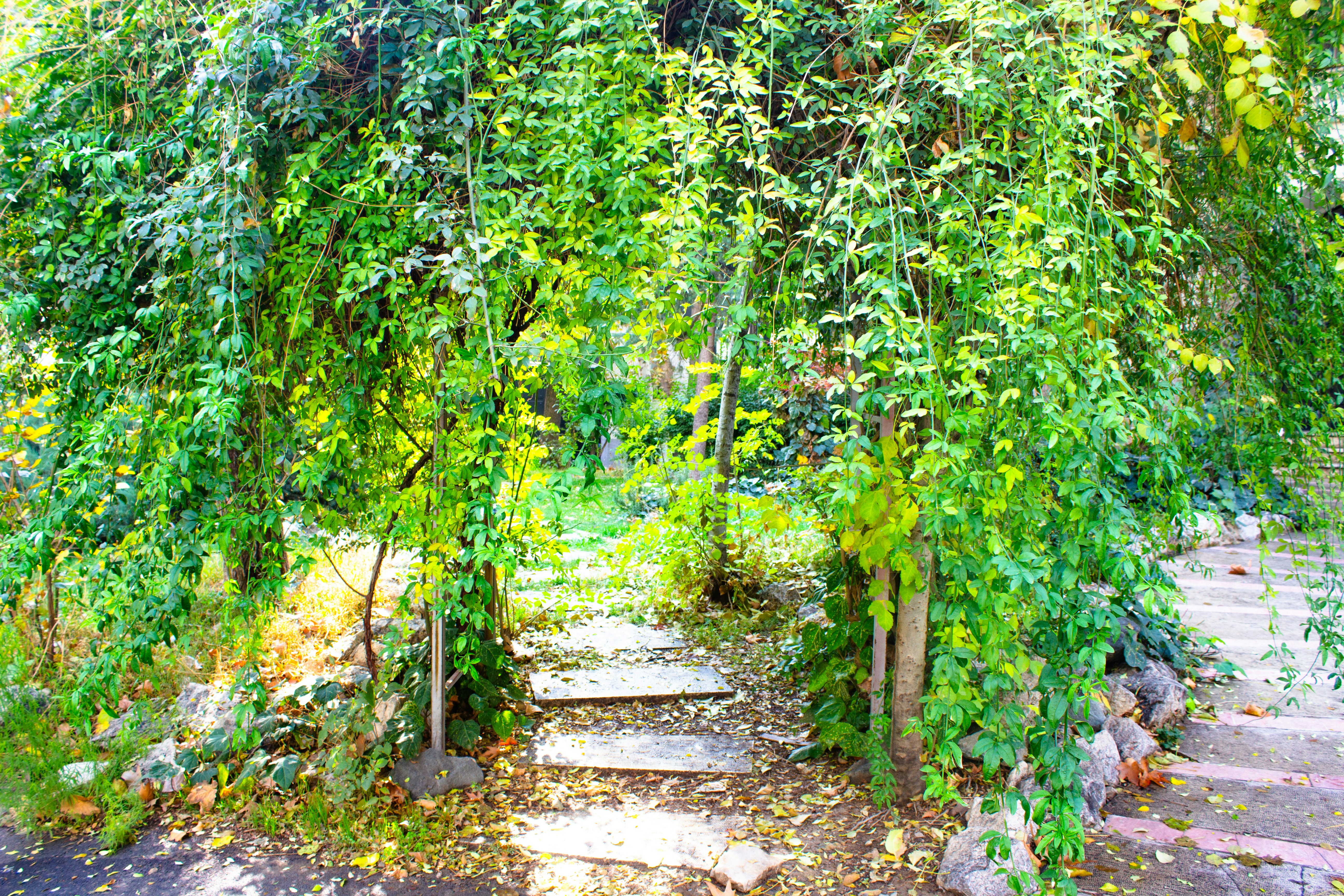 Photo by Elham Abdi with Canon EOS 600D